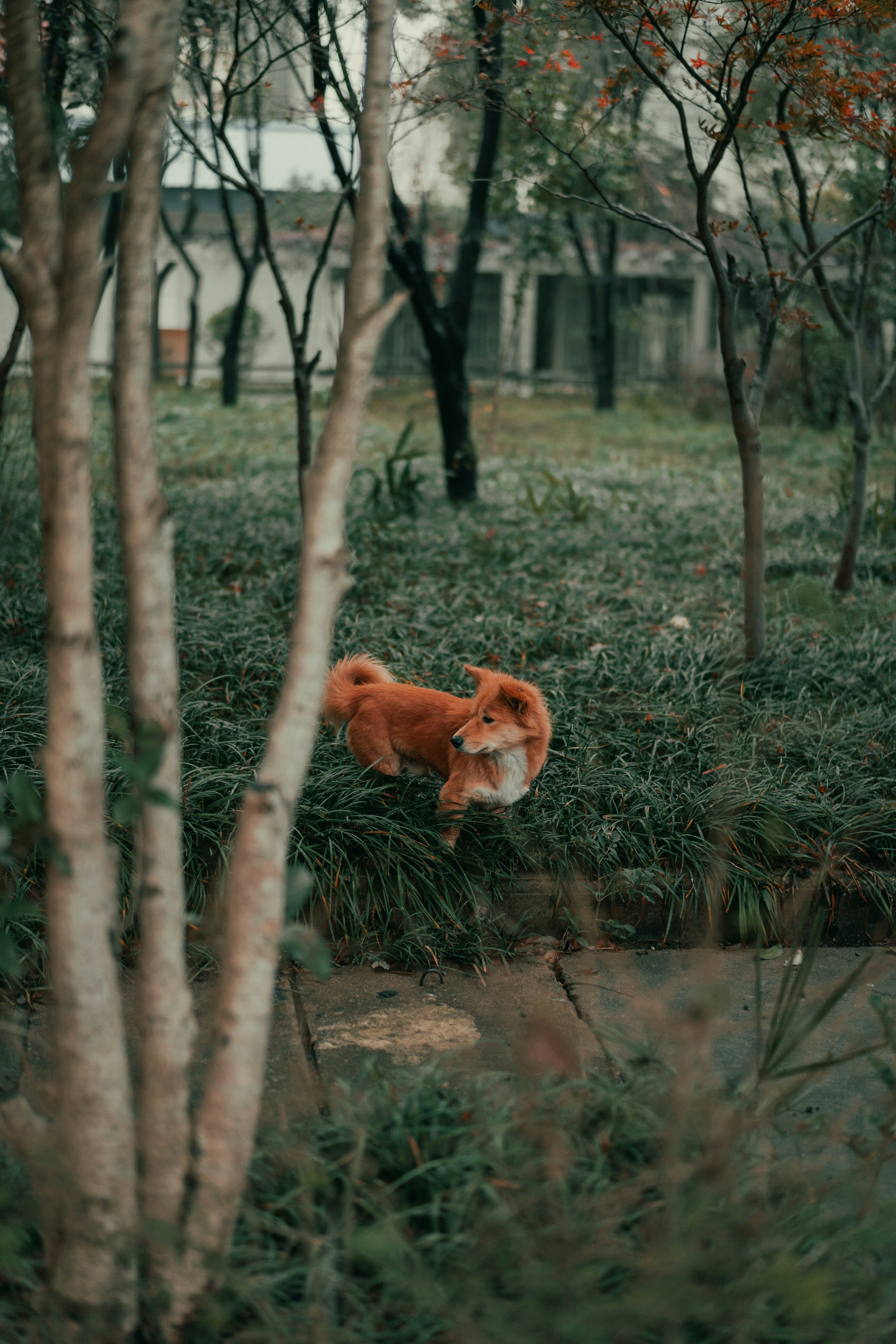 Photo by Hao Zhang with Sony Alpha 7C