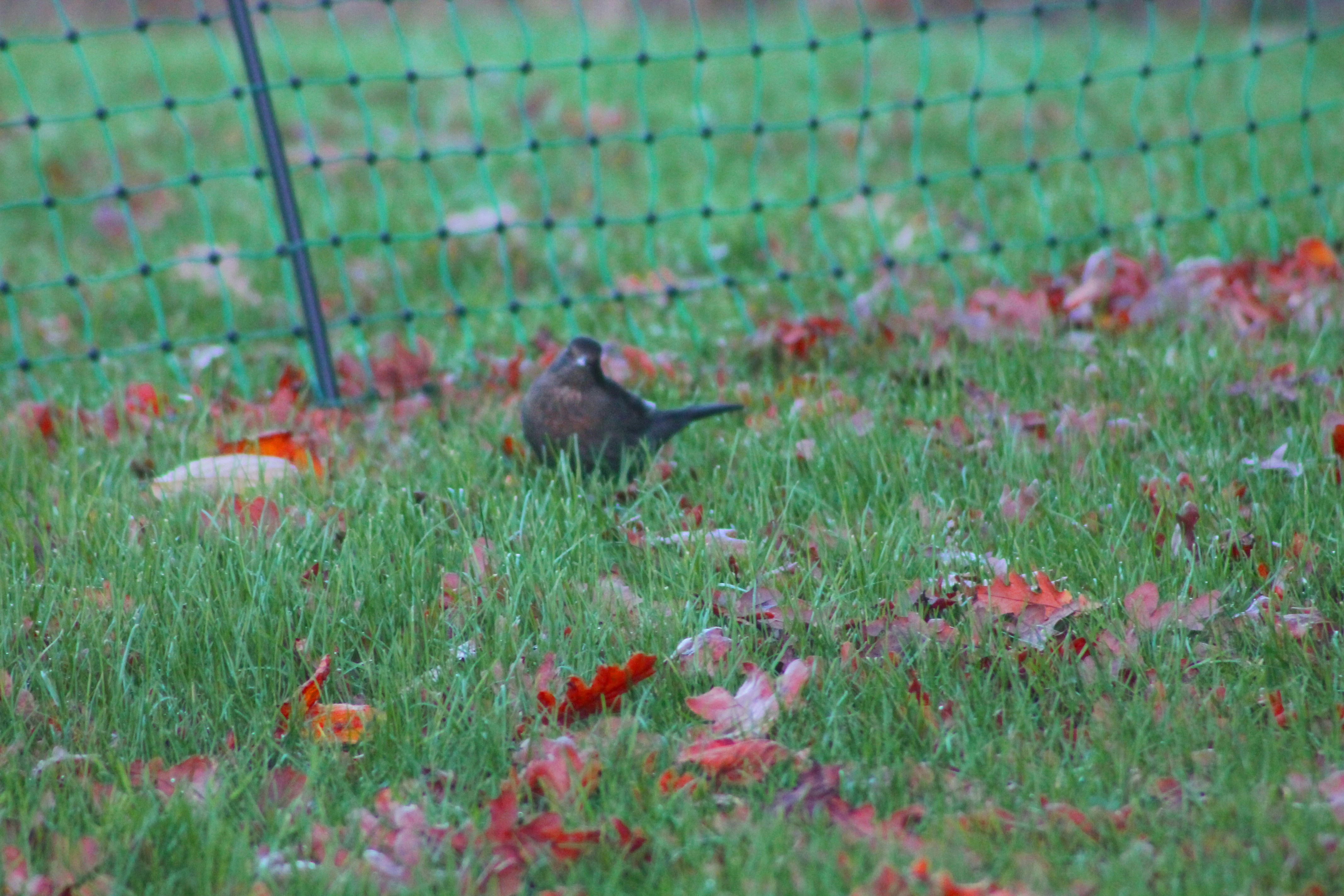 Lars Appi (@lars_appi) | Unsplash 사진 커뮤니티