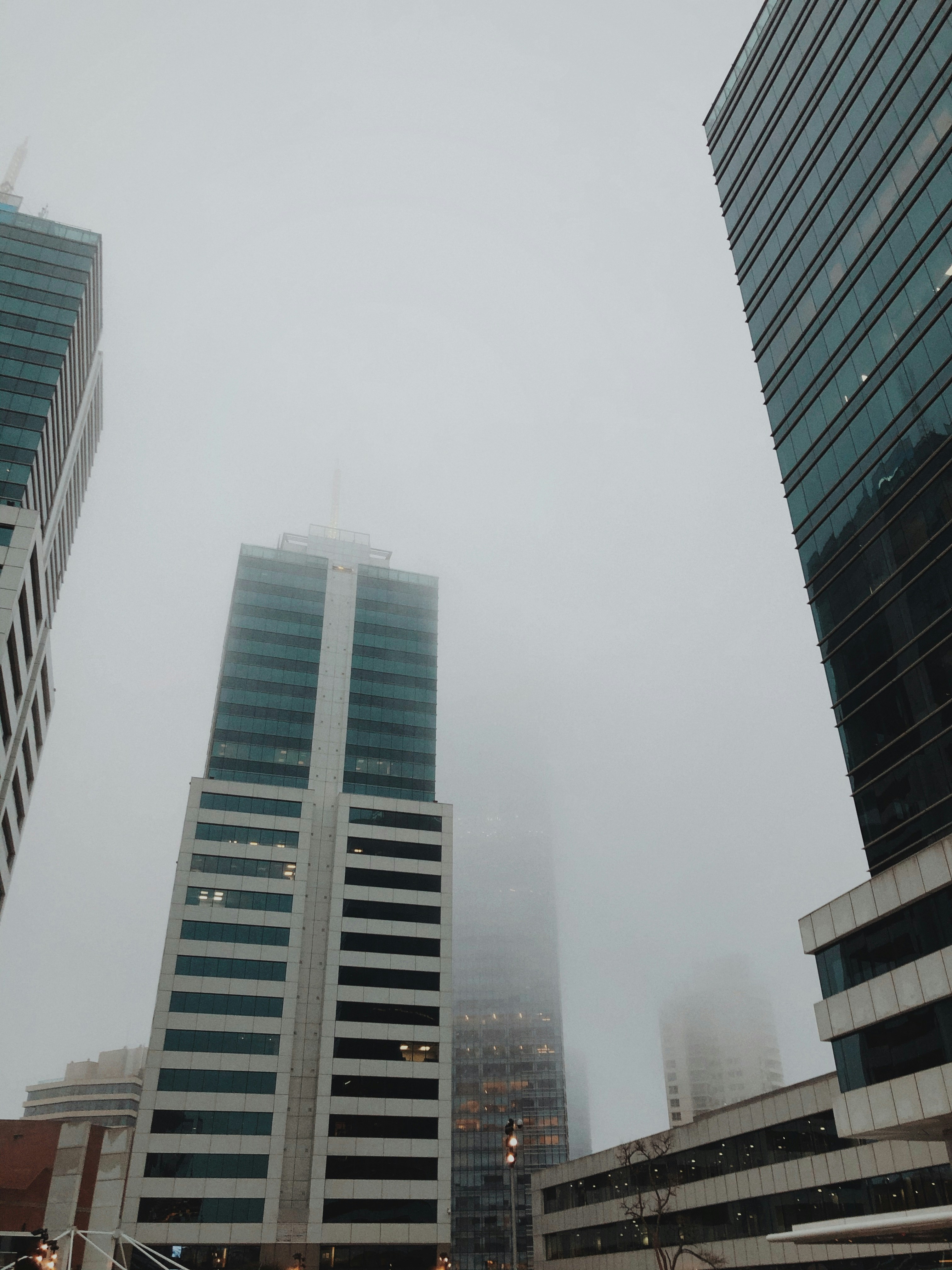 Fogbound Towers: A Cityscape Shrouded in Mist