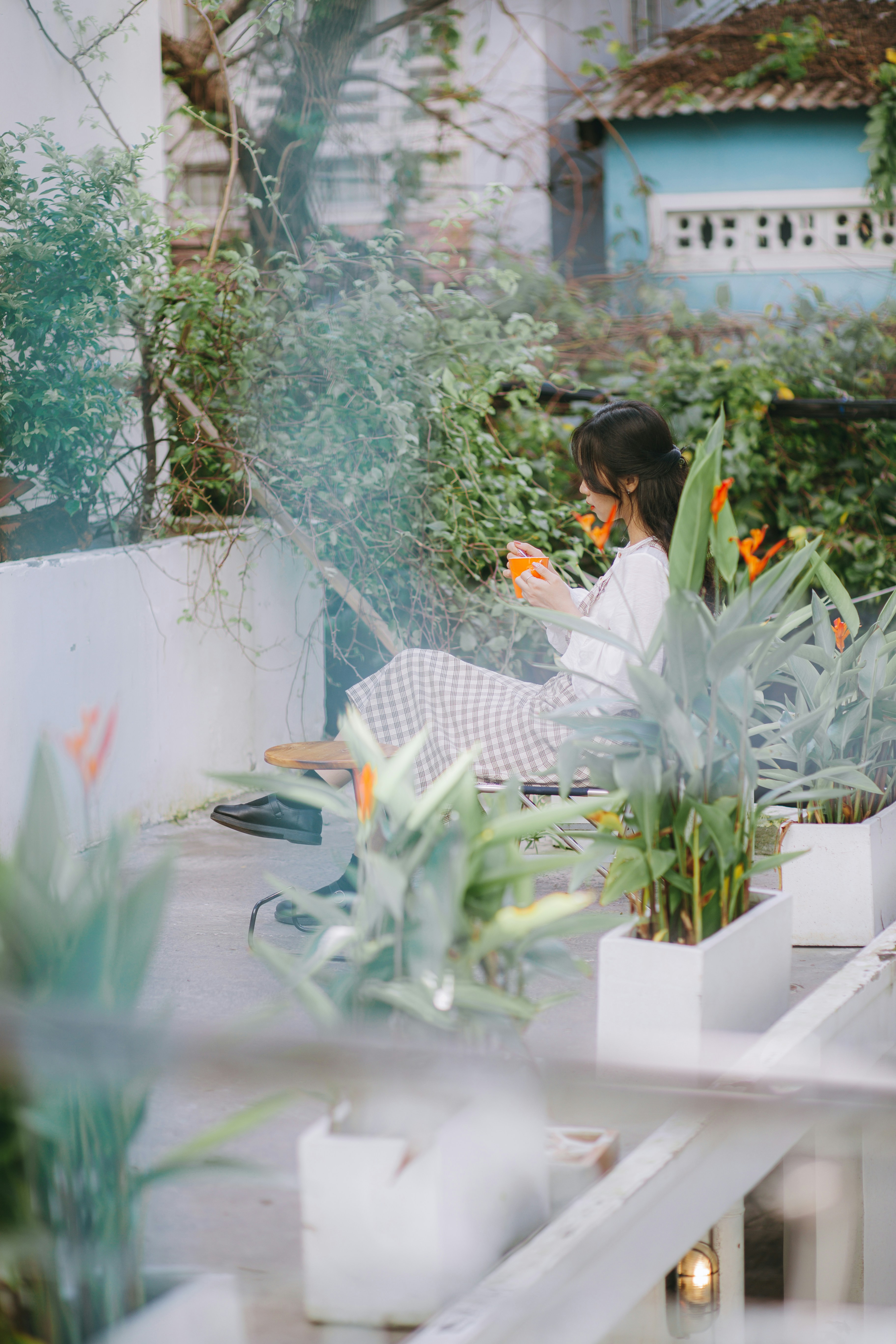 Terrace Bloom: A Quiet Portrait Amid Orange Birds-of-Paradise