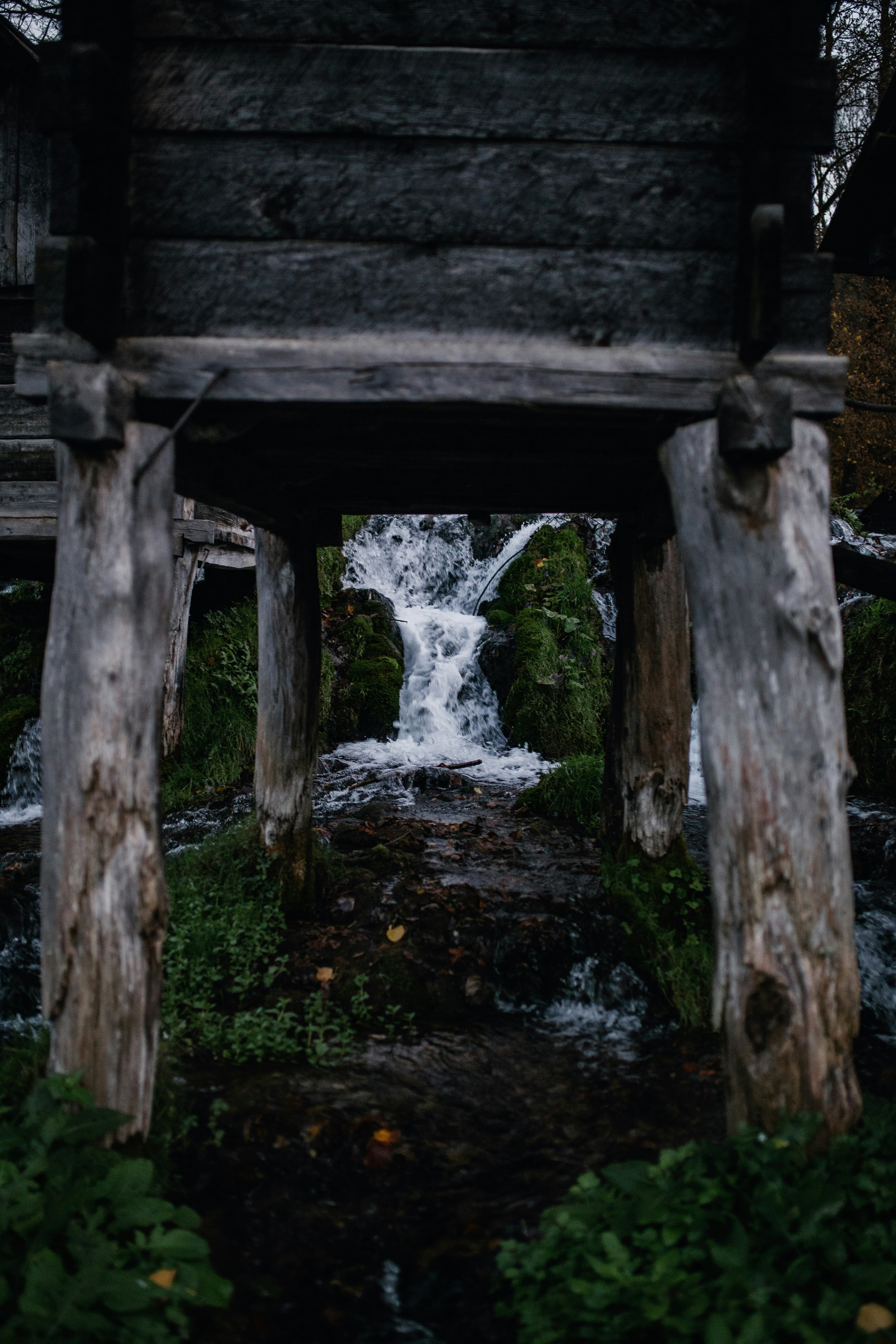 Underneath the Moss-Walled Bridge: Cascade Through Weathered Timber