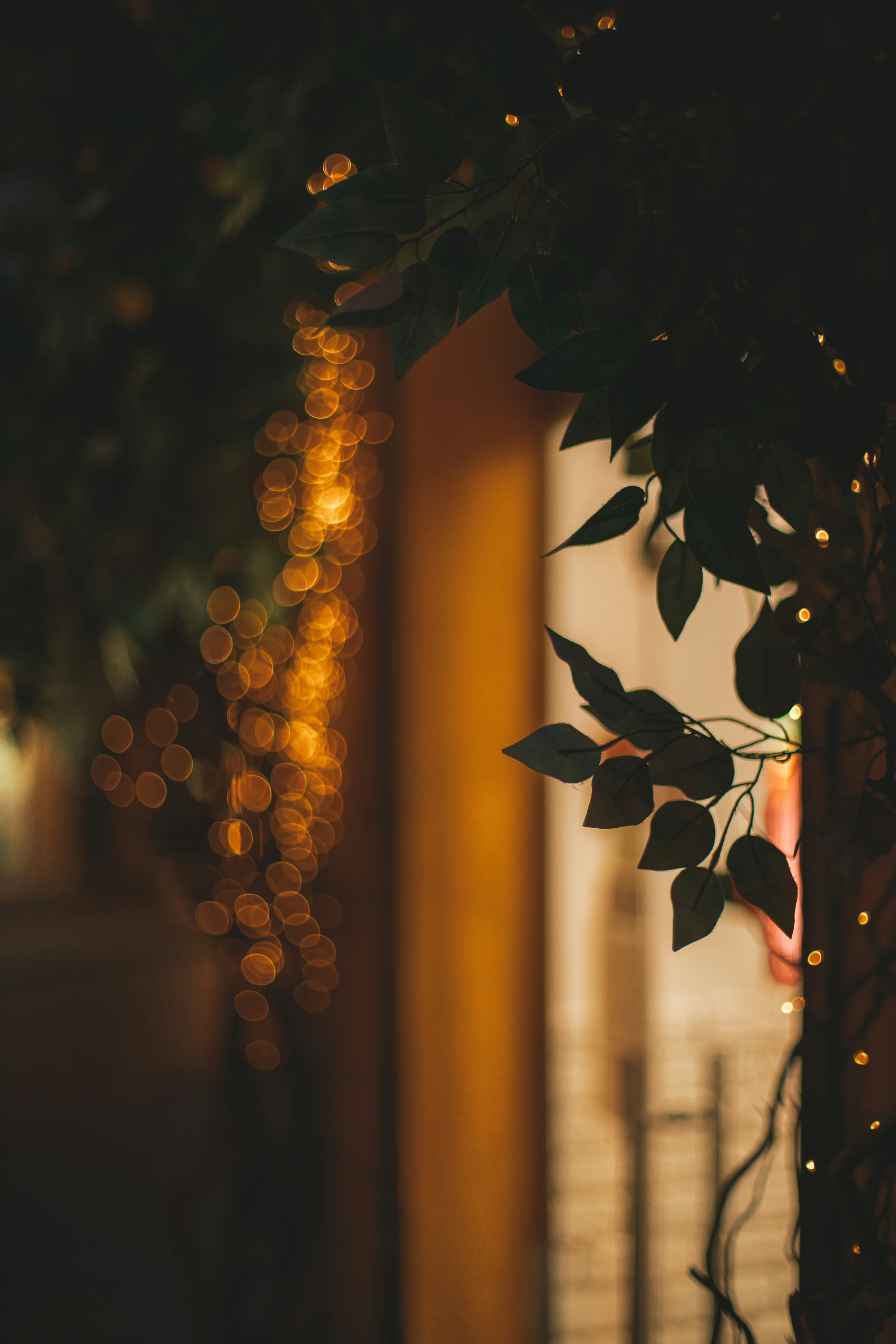Delicate leaves framing warm bokeh lights against a softly illuminated background. The scene evokes a cozy ambiance.