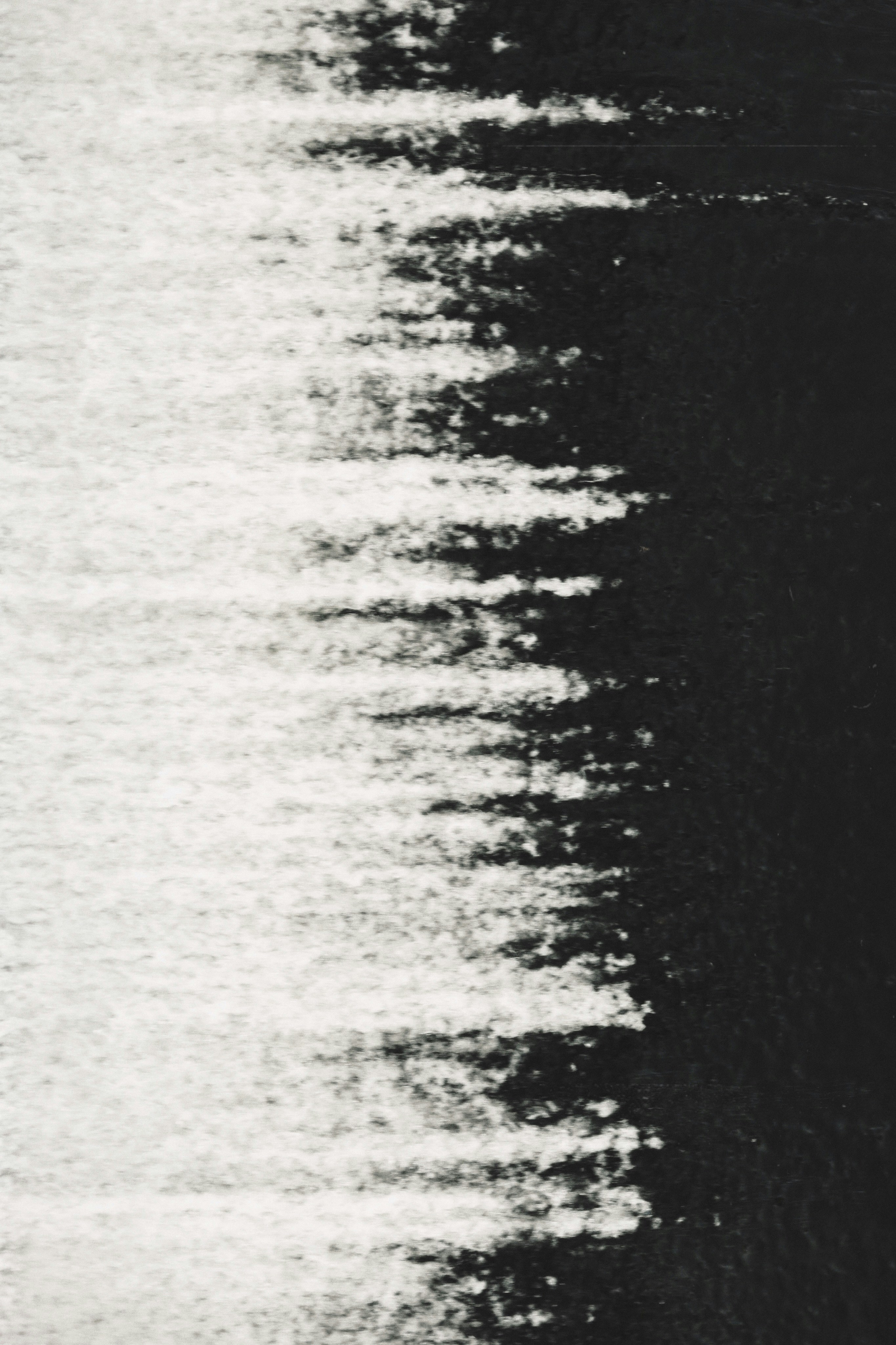 Pulses Pictures | Download Free Images on Unsplash