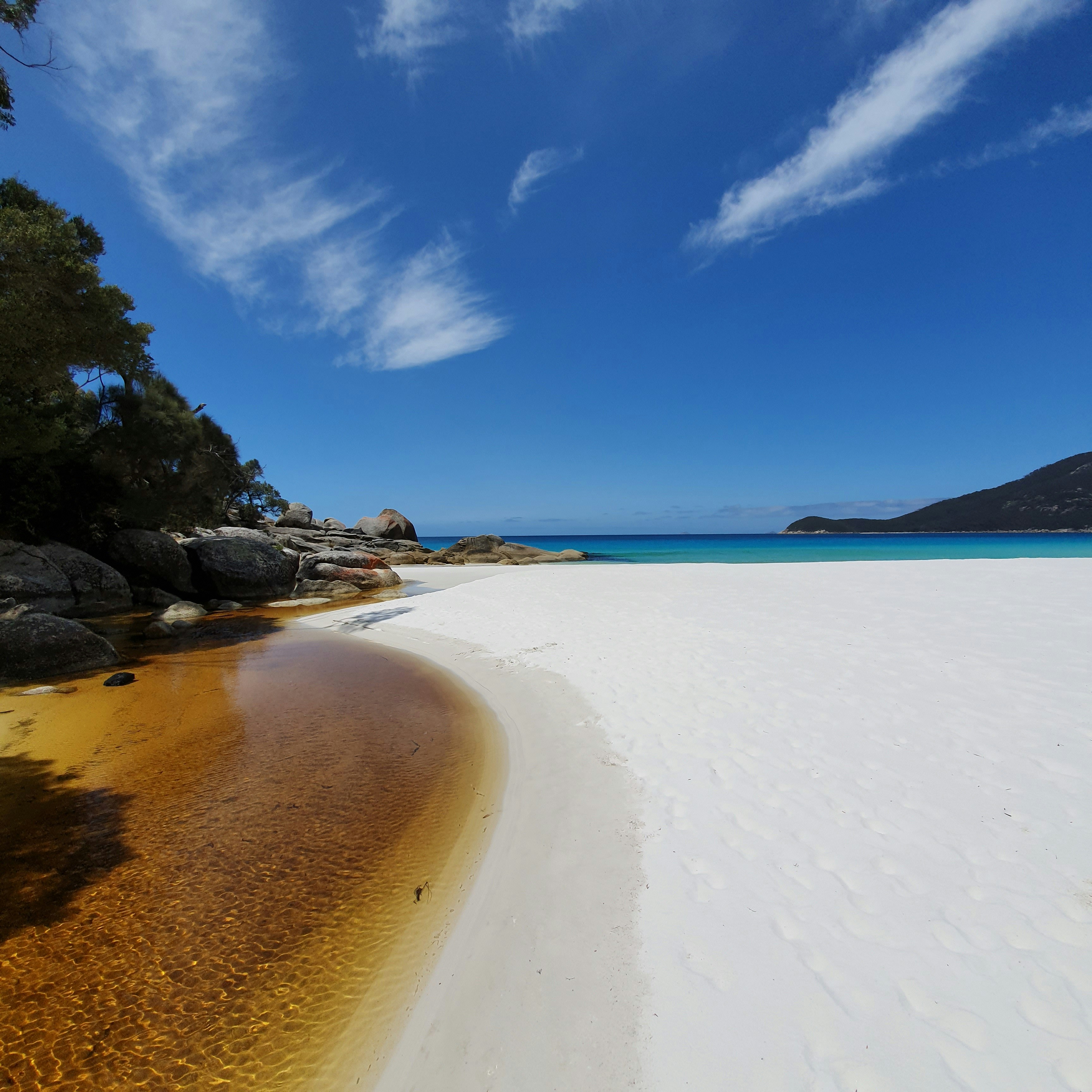 Amber Stream Meets Turquoise Shore: A Quiet Tropic Transition