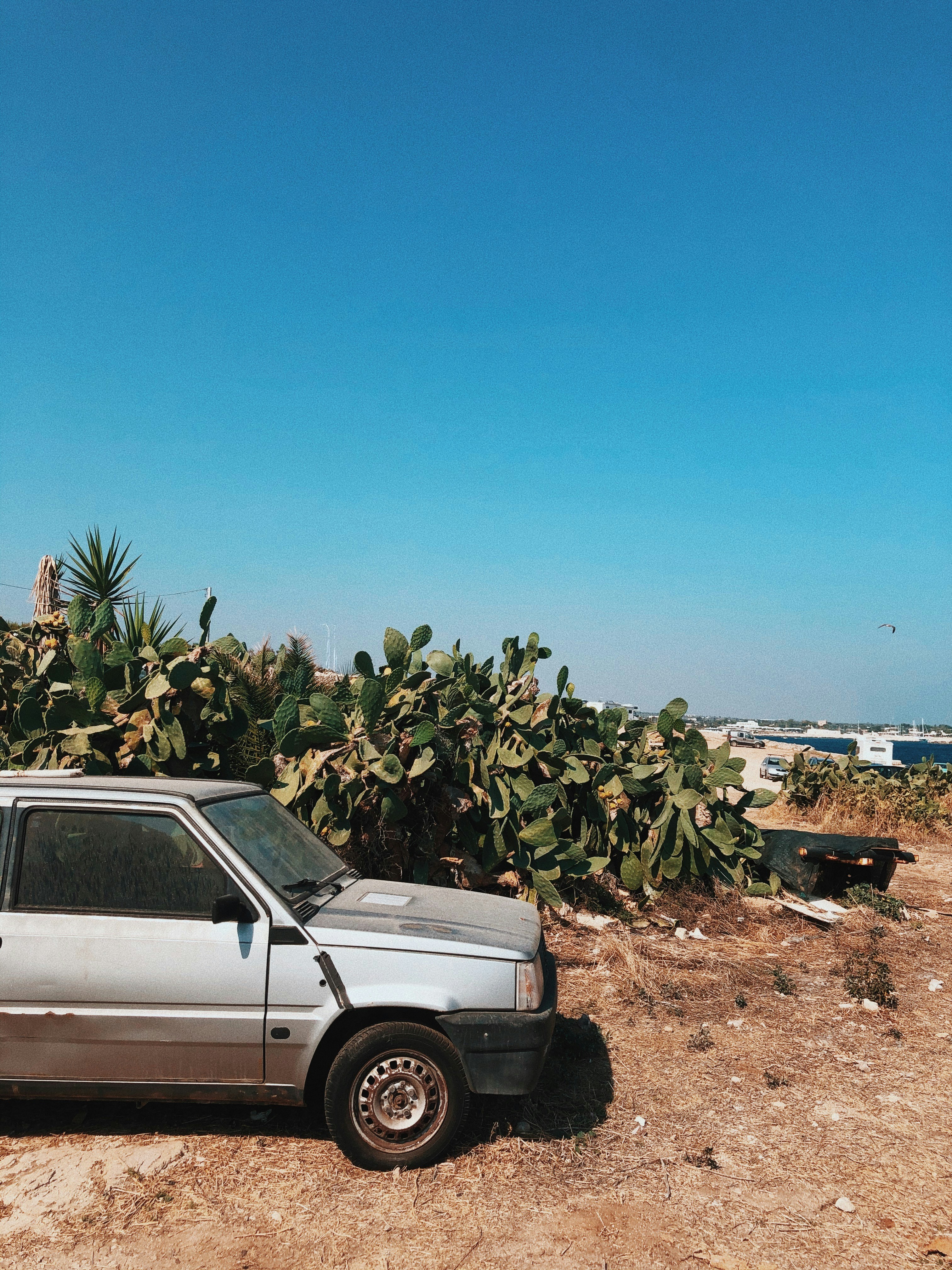 white suv parked on brown soil near green trees during daytime