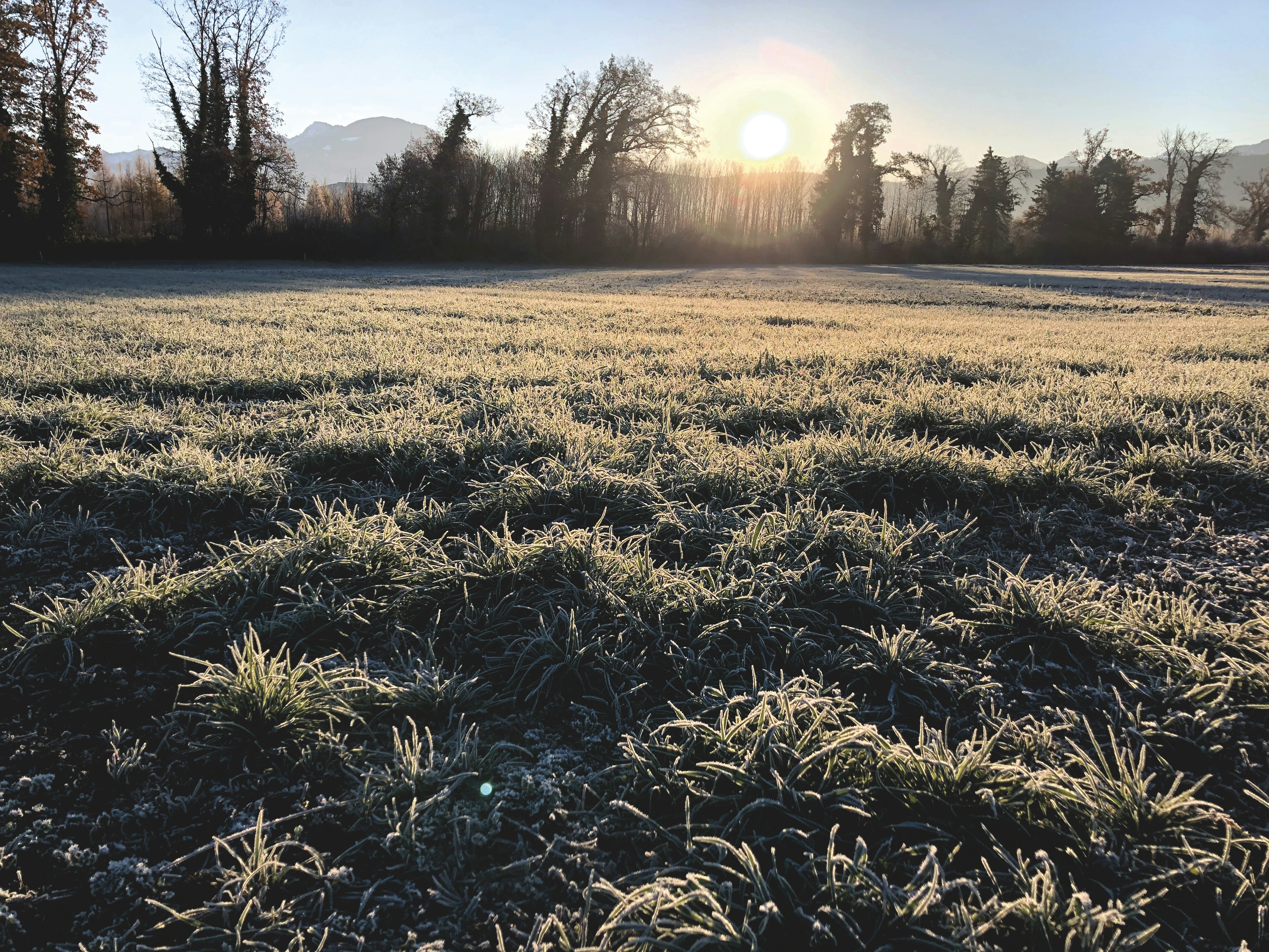 Hermann Ritter (@rihe) | Unsplash Photo Community