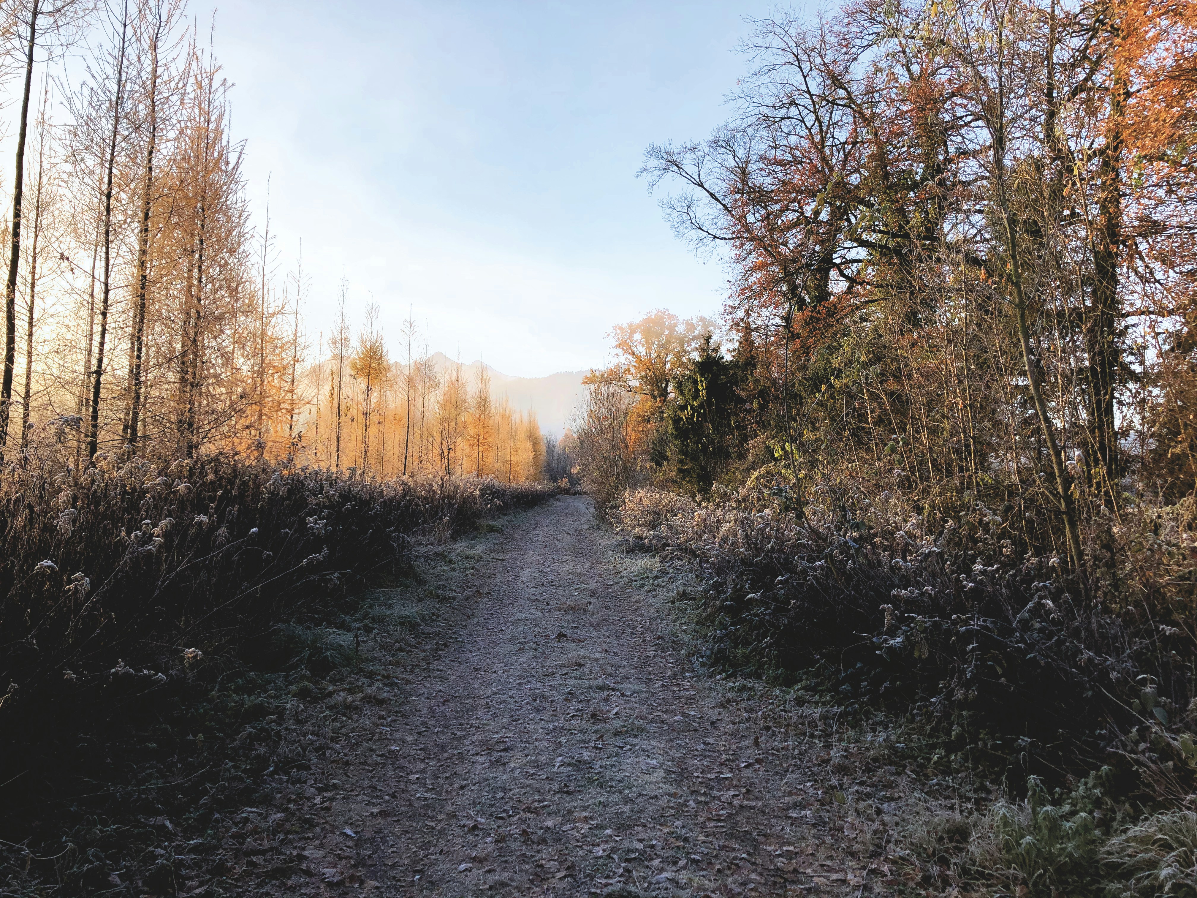 Hermann Ritter (@rihe) | Unsplash Photo Community