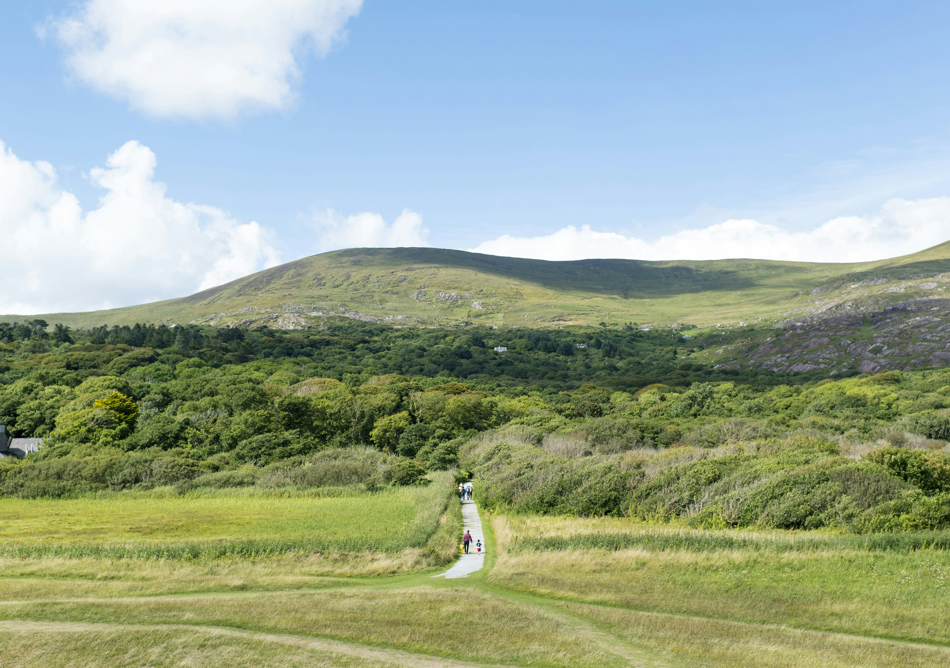 Green grass field near mountain under blue sky during daytime photo ...