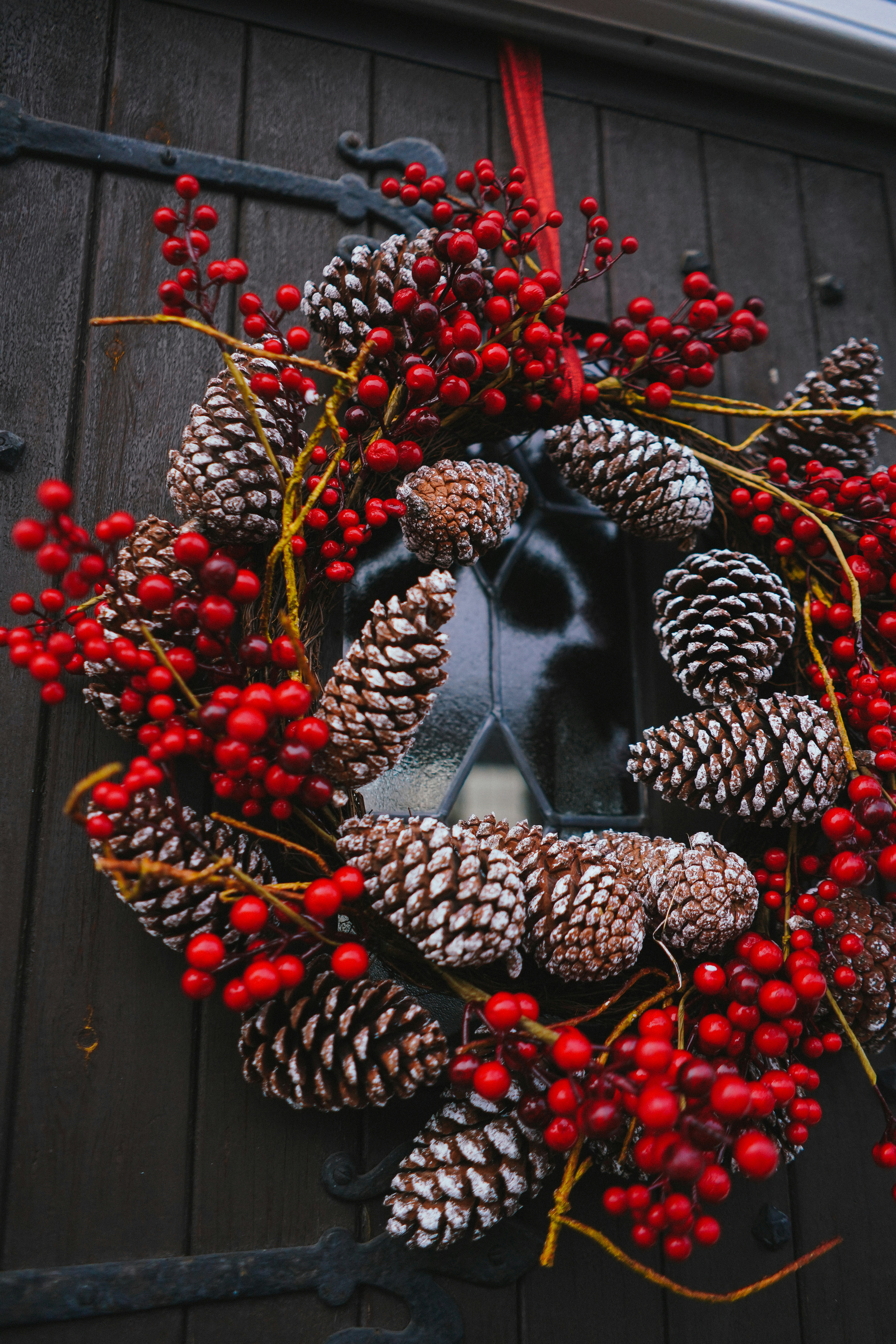 Winter Wreath of Red Berries and Frosted Cones Adorns a Dark Wooden Door