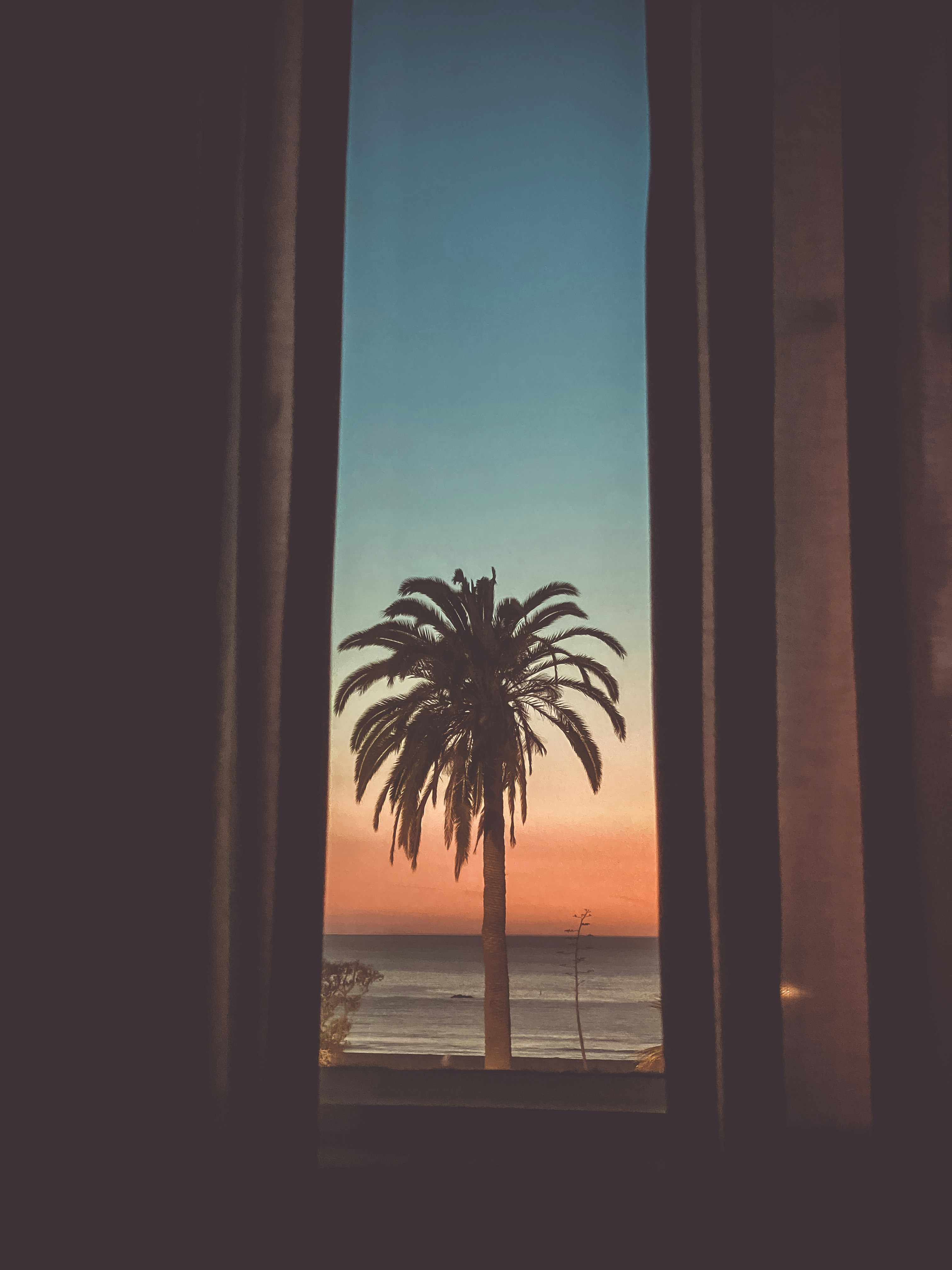 Palm tree near body of water during sunset photo – Free Grey Image on ...