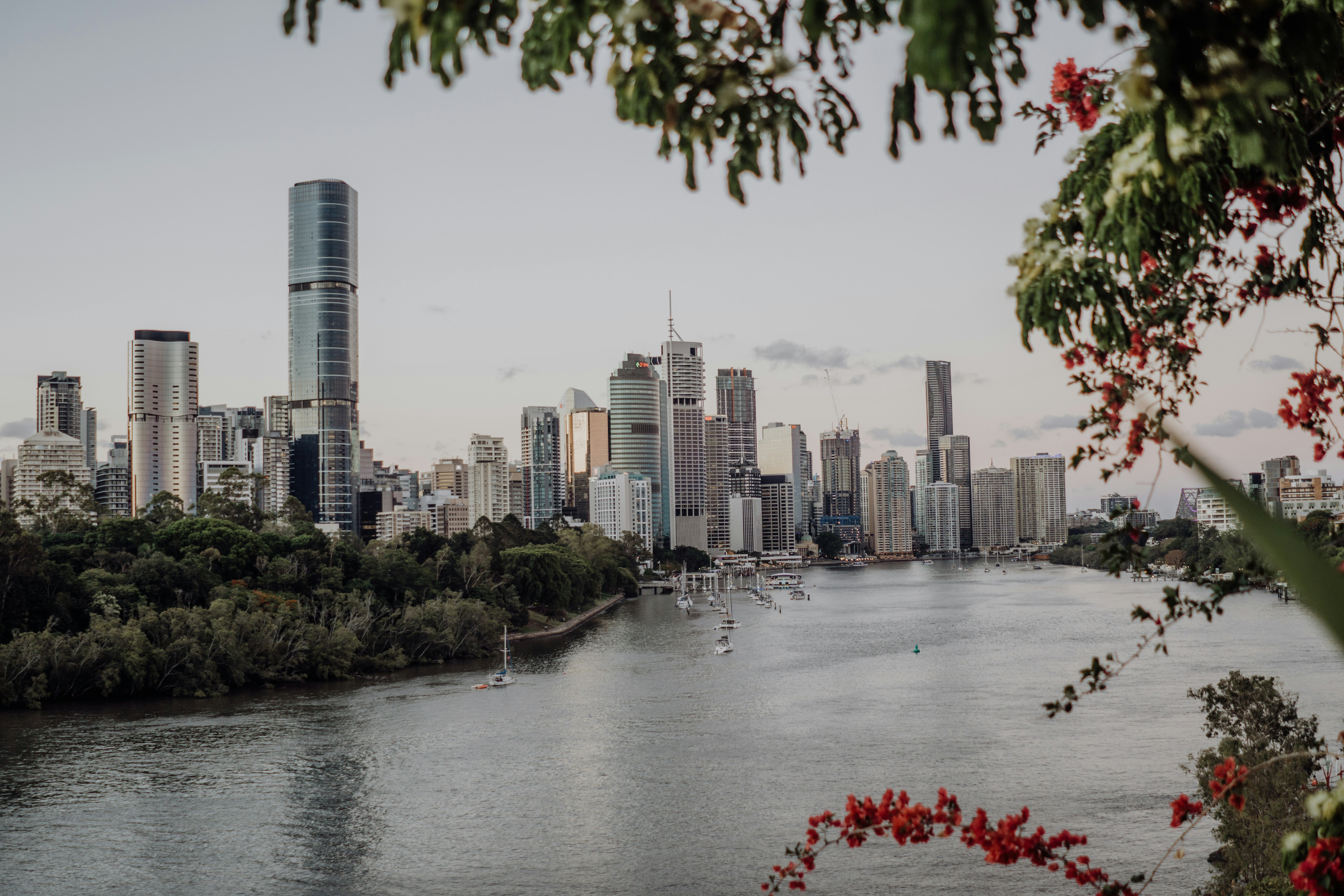 City skyline framed by foliage with a tranquil river in the foreground.