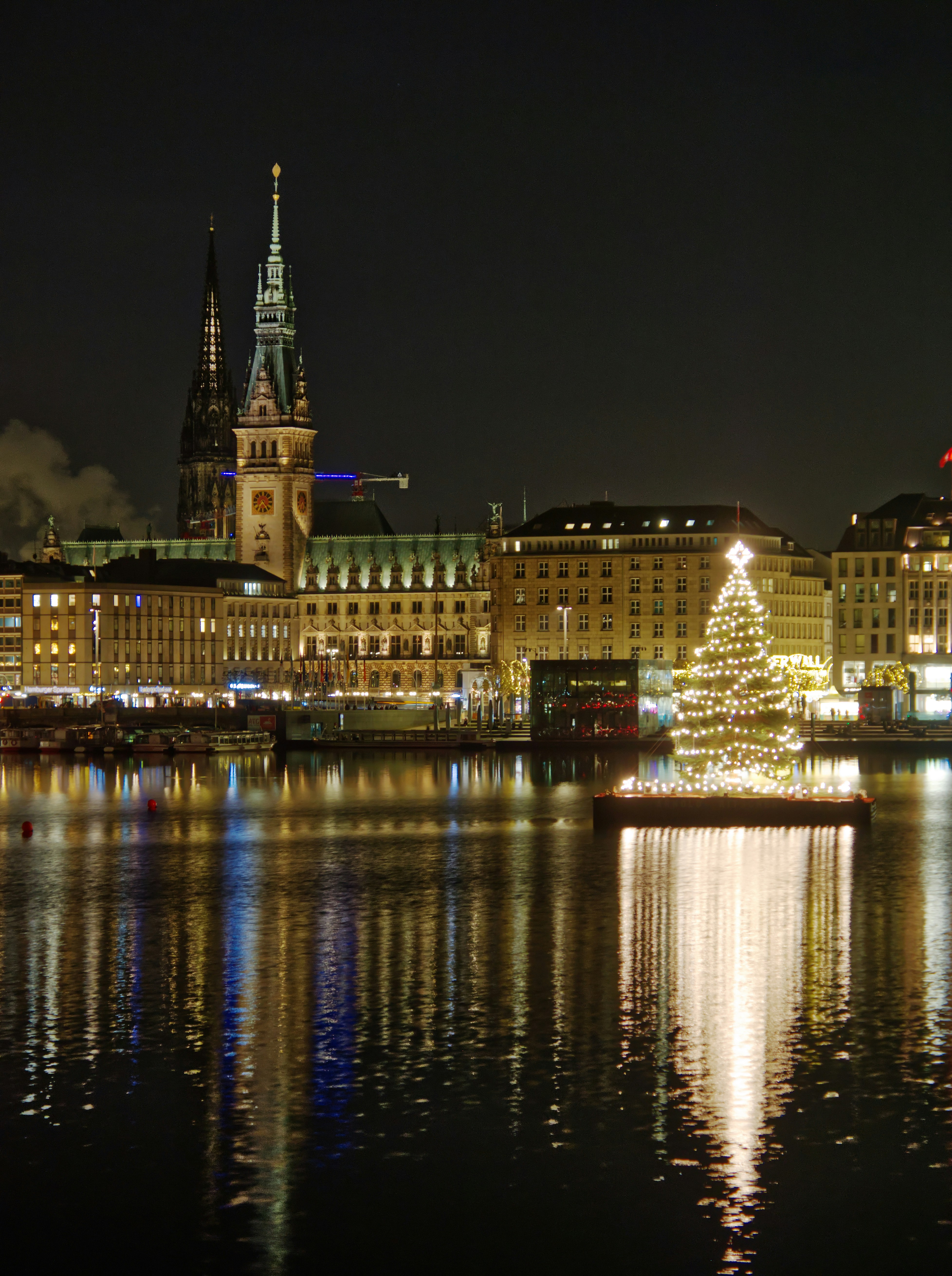 Floating Festival: A Night at the River with a Glowing Christmas Tree