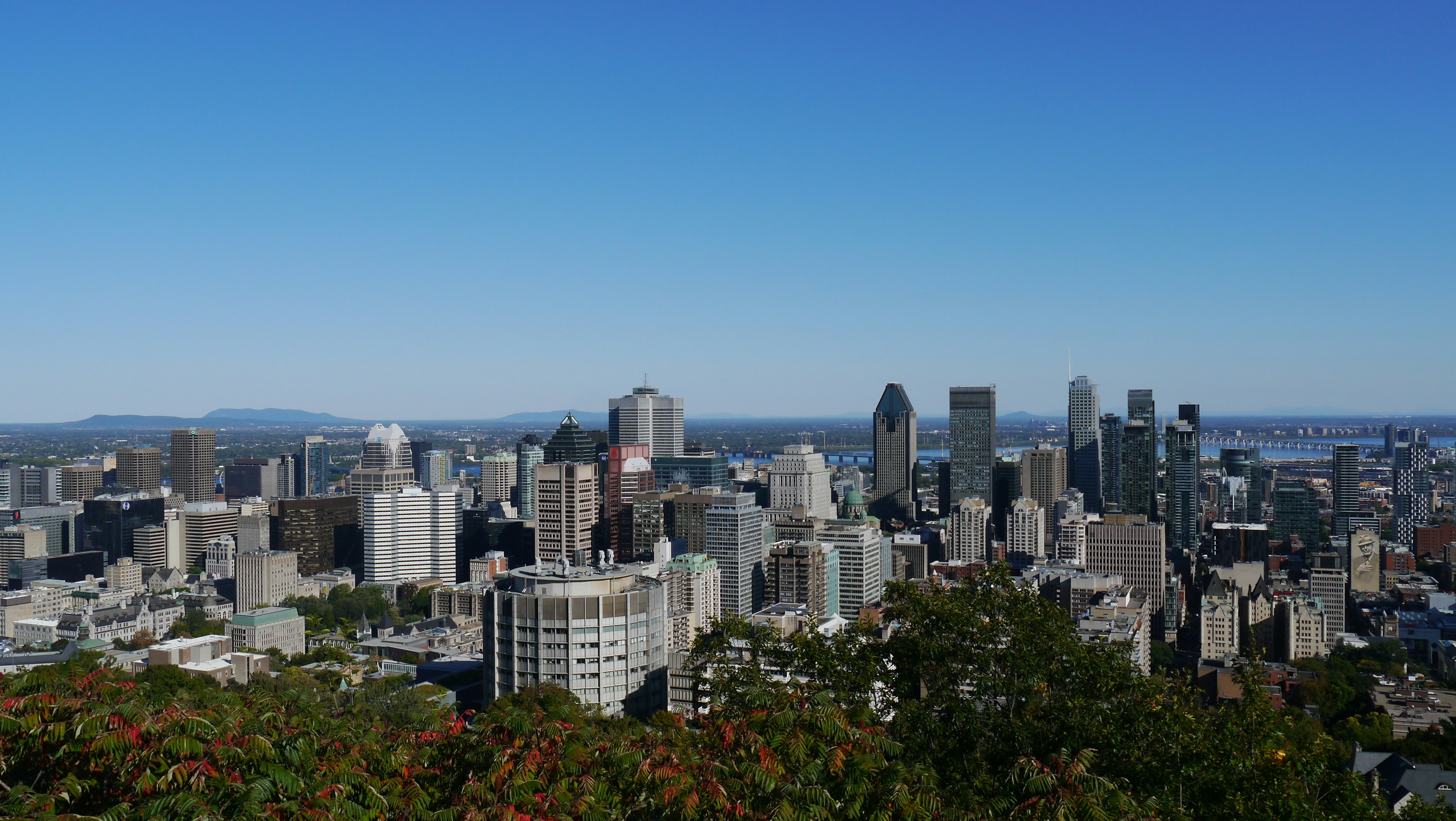 Vibrant cityscape showcasing Montreal's skyline with a clear blue sky overhead and lush greenery in the foreground.