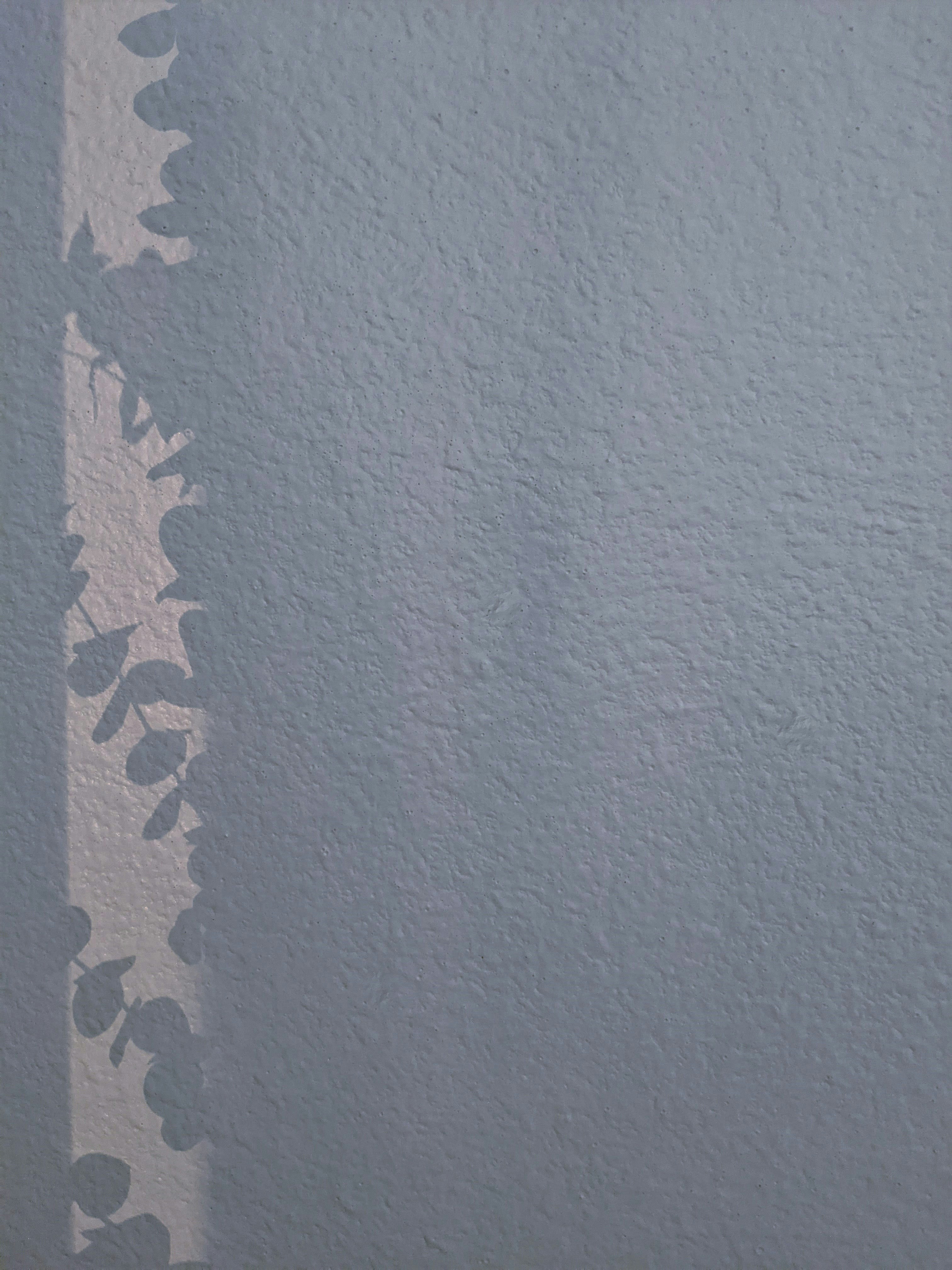 Blue and white painted wall photo – Free Wall Image on Unsplash