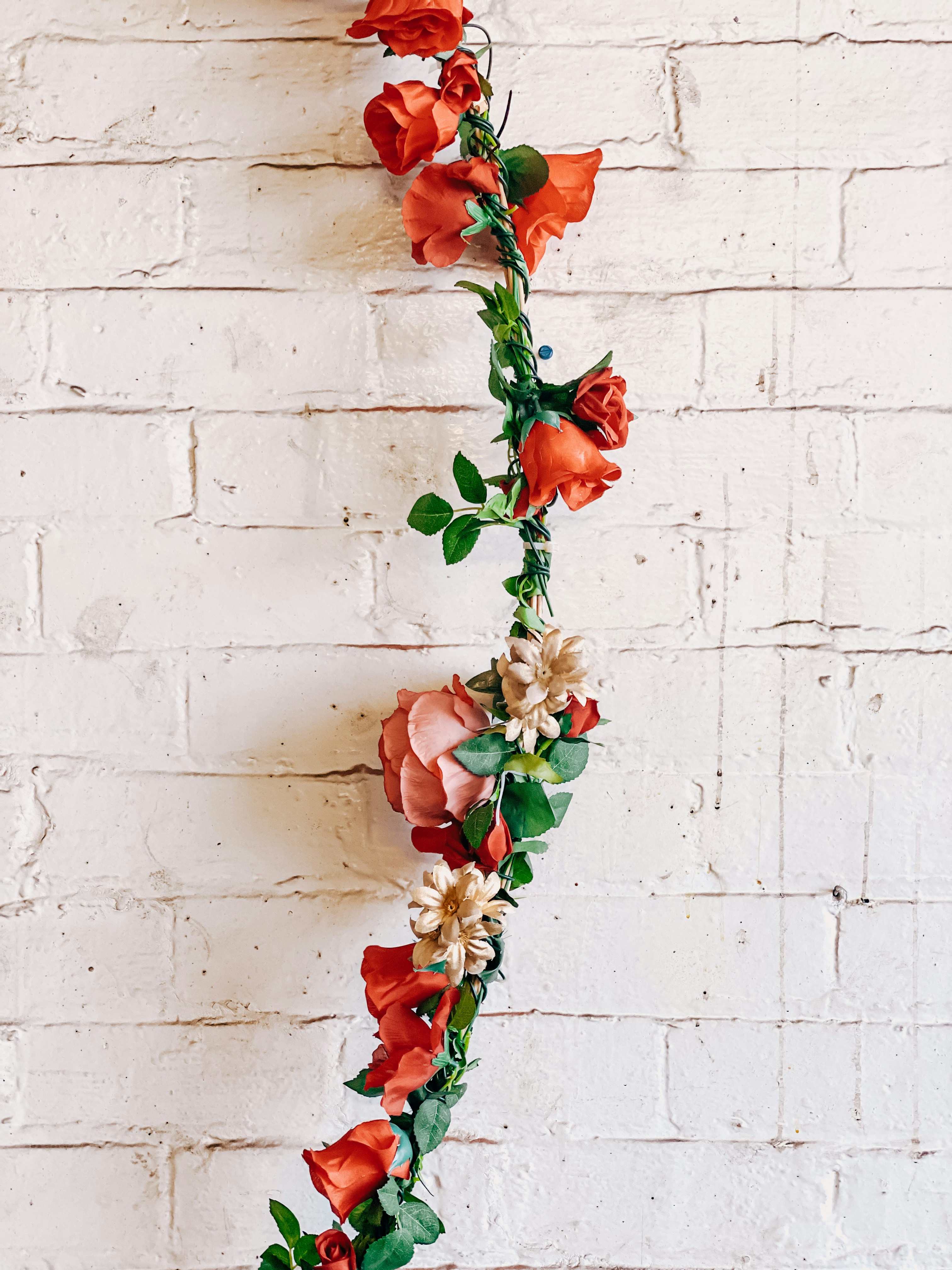 Vertical Crimson Garland: Roses Winding Up a White Brick Wall