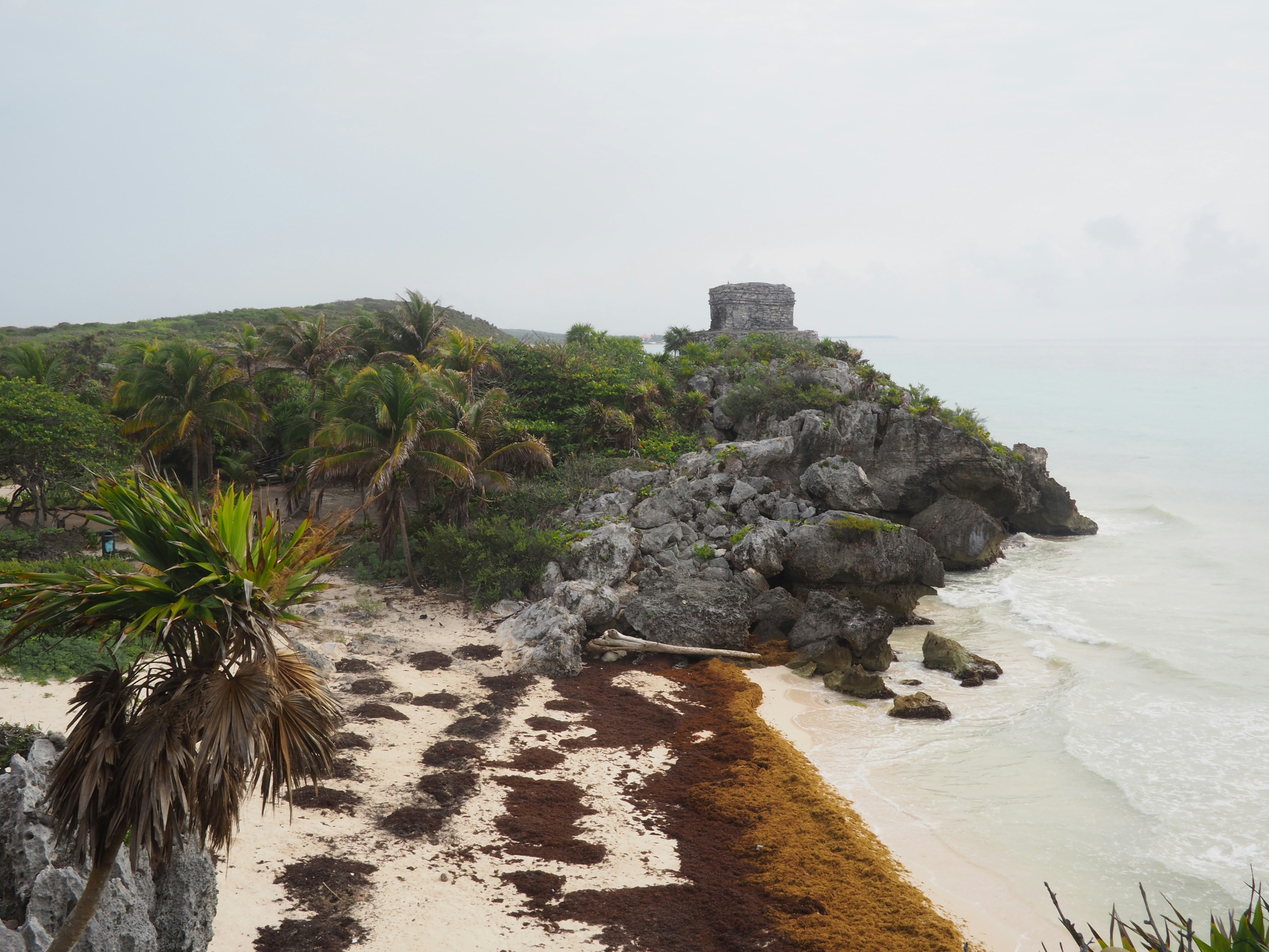 A rocky coastline featuring ancient ruins surrounded by lush greenery and a tranquil beach, with seaweed lining the shore. 