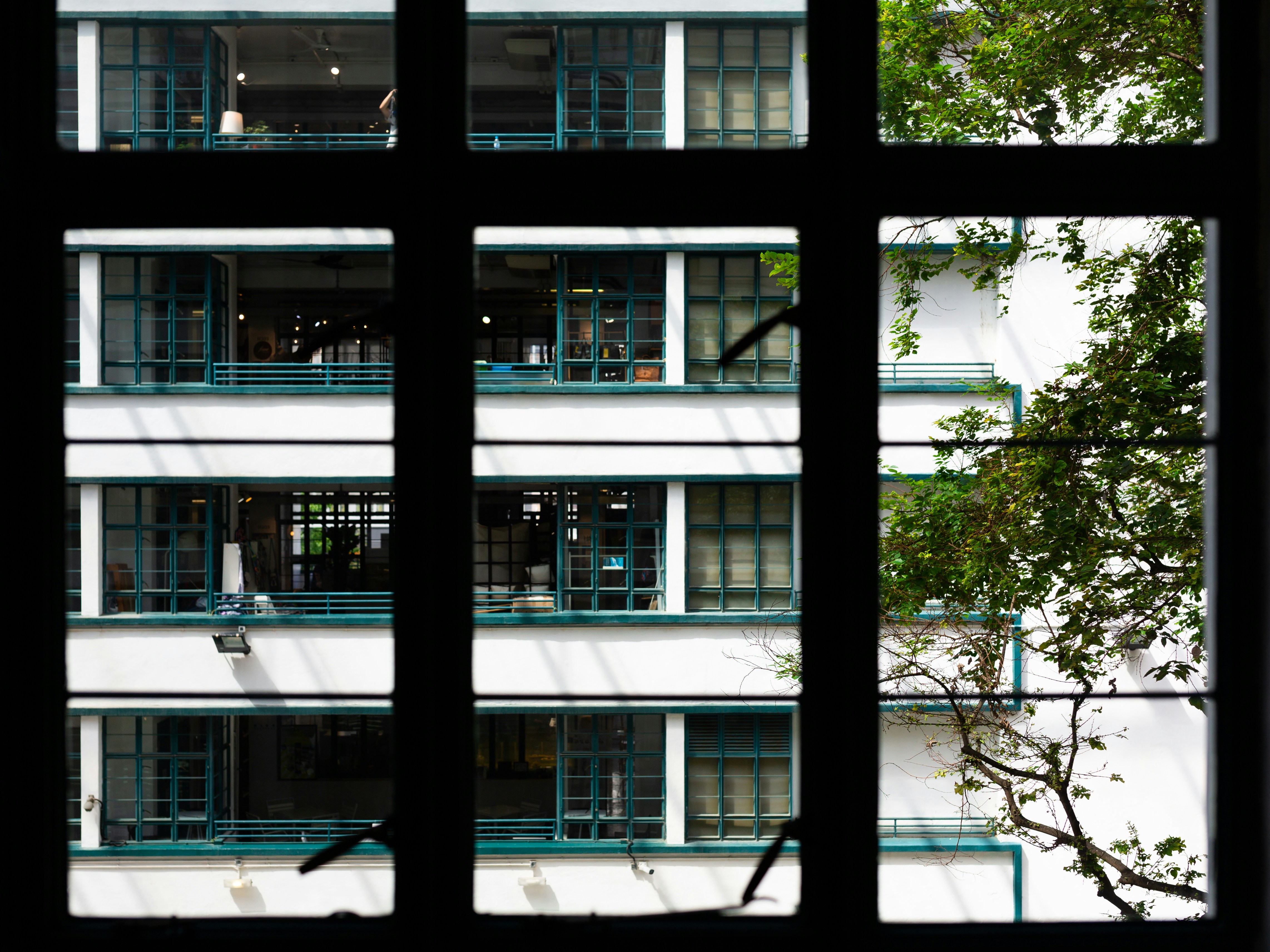 Grid of Teal Windows: An Urban Courtyard Framed by Dark Glass
