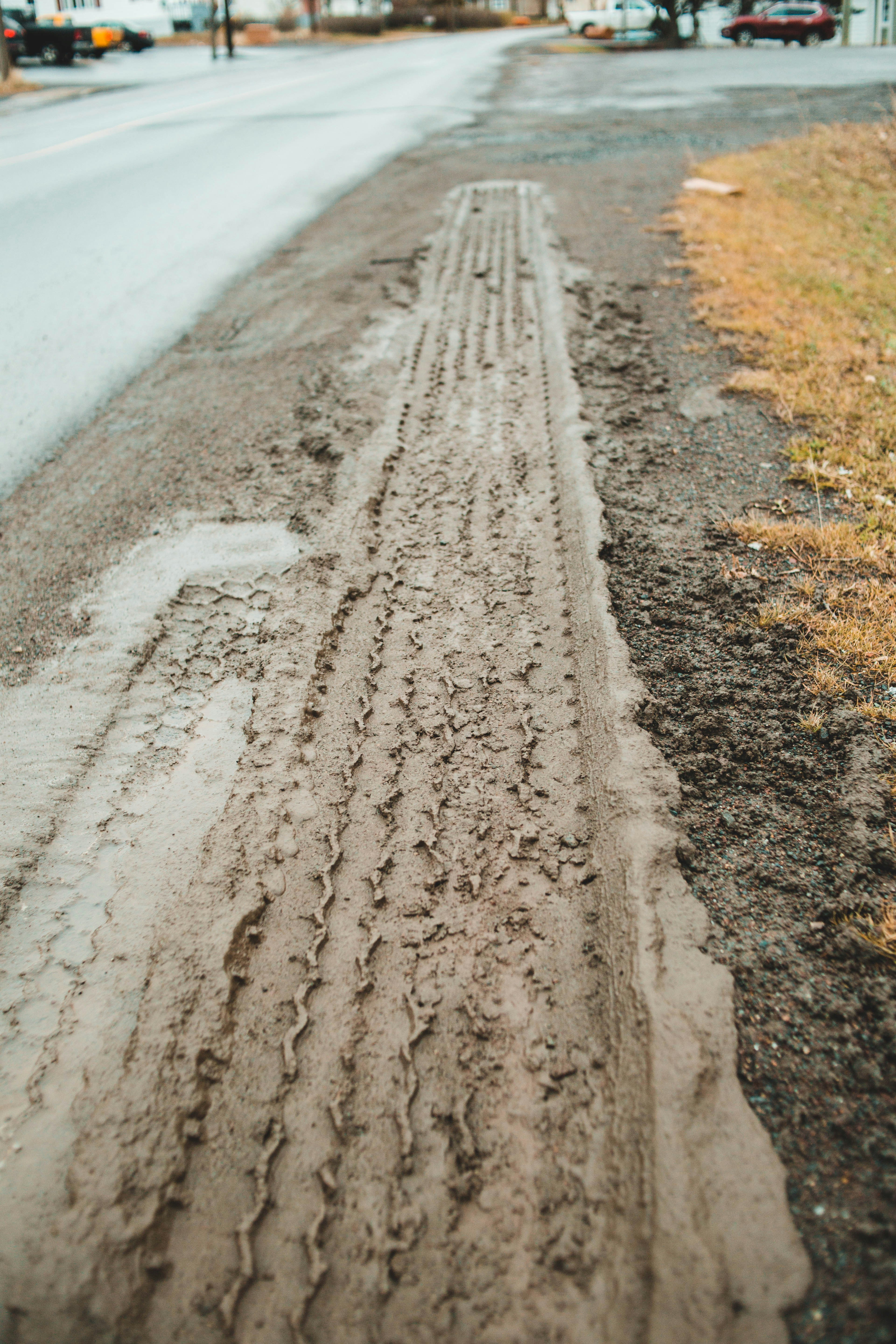 Tire tracks etched into a muddy path beside a road, showcasing the aftermath of recent travel. The scene captures the intersection of nature and human activity.