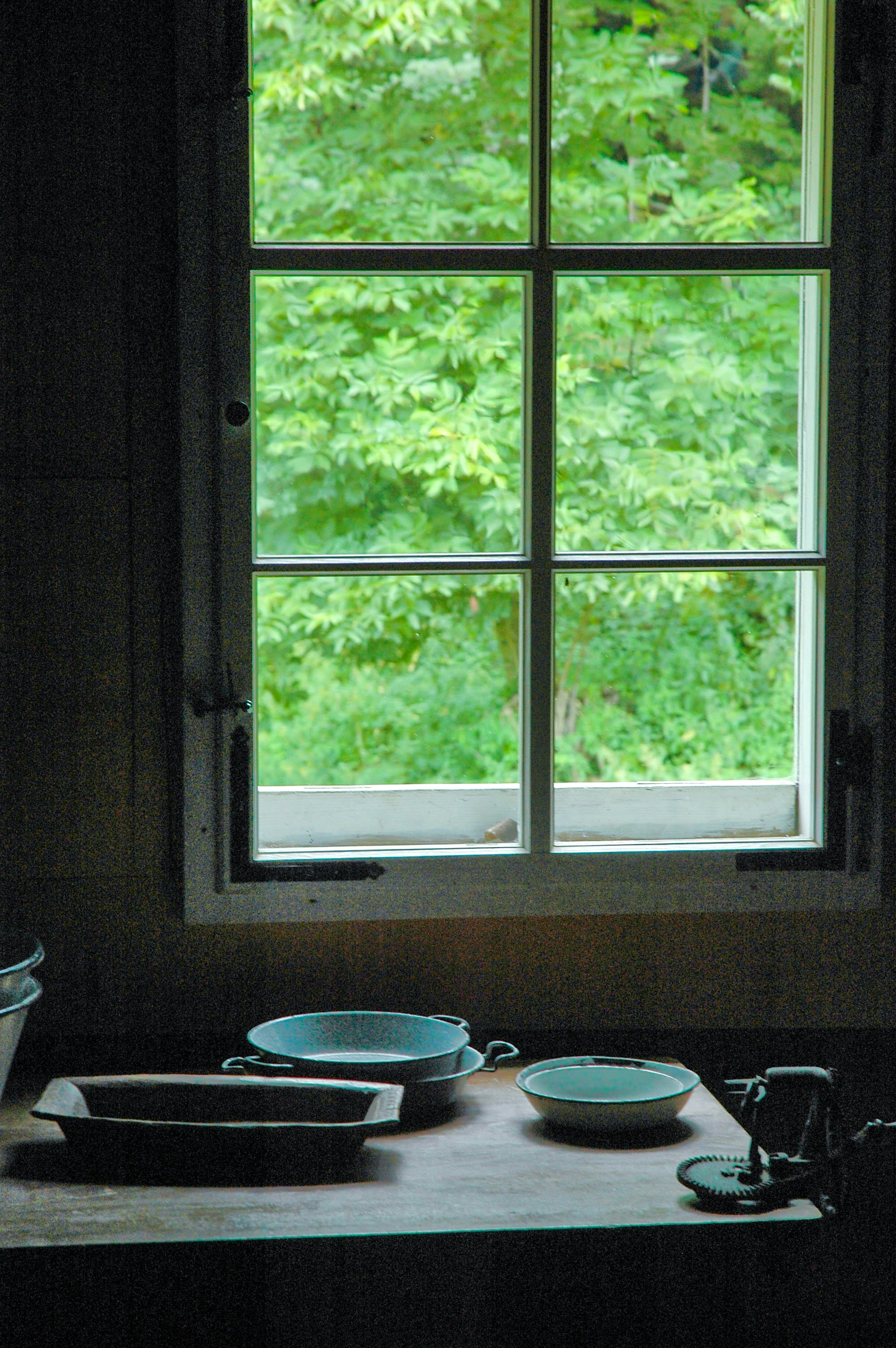 A photograph of a rustic kitchen table with shallow bowls arranged near a window, softly lit by daylight. Lush green foliage fills the panes beyond, creating a vivid contrast with the dim interior.