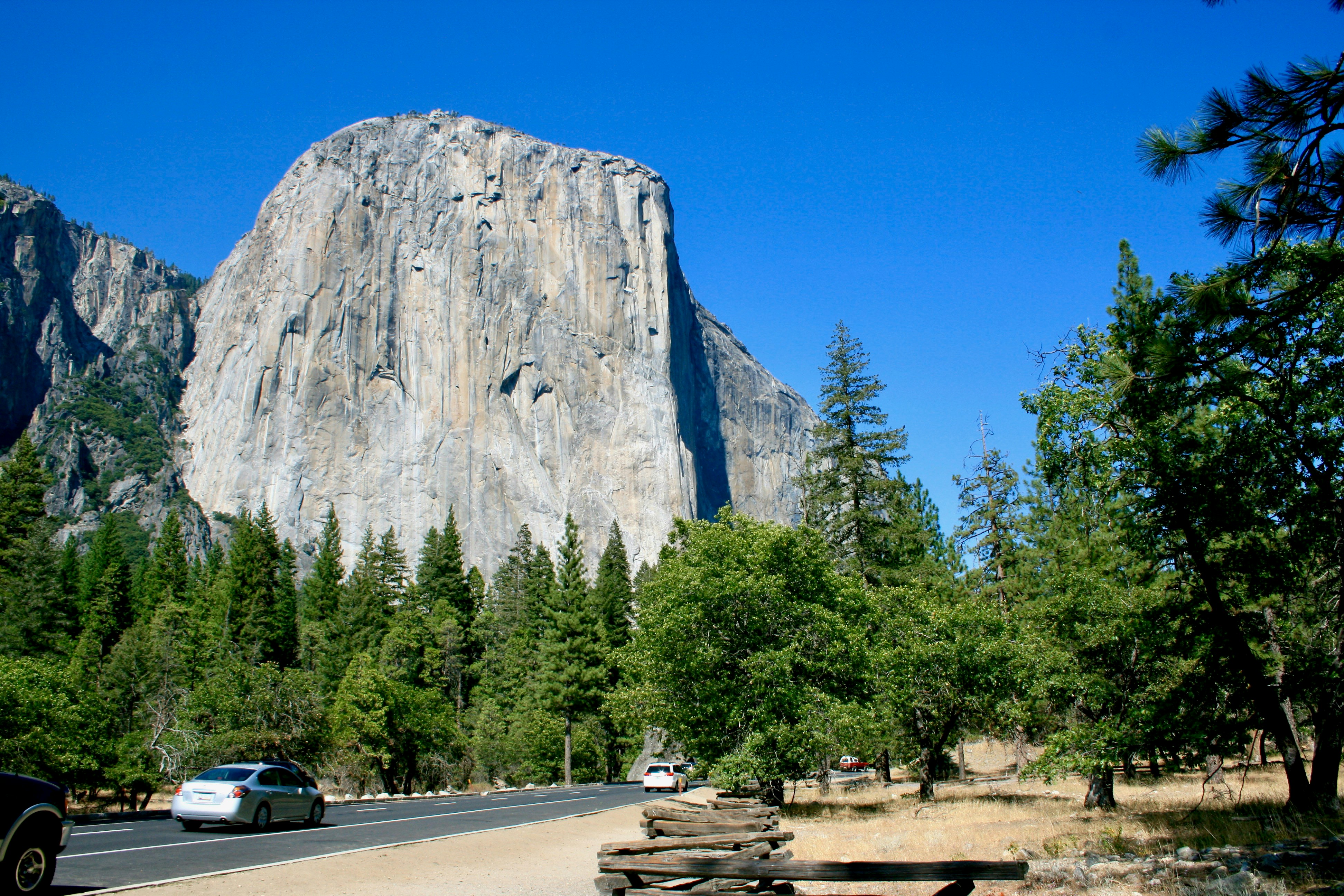 Granite Giant Looms Over a Sunlit Yosemite Picnic Ground