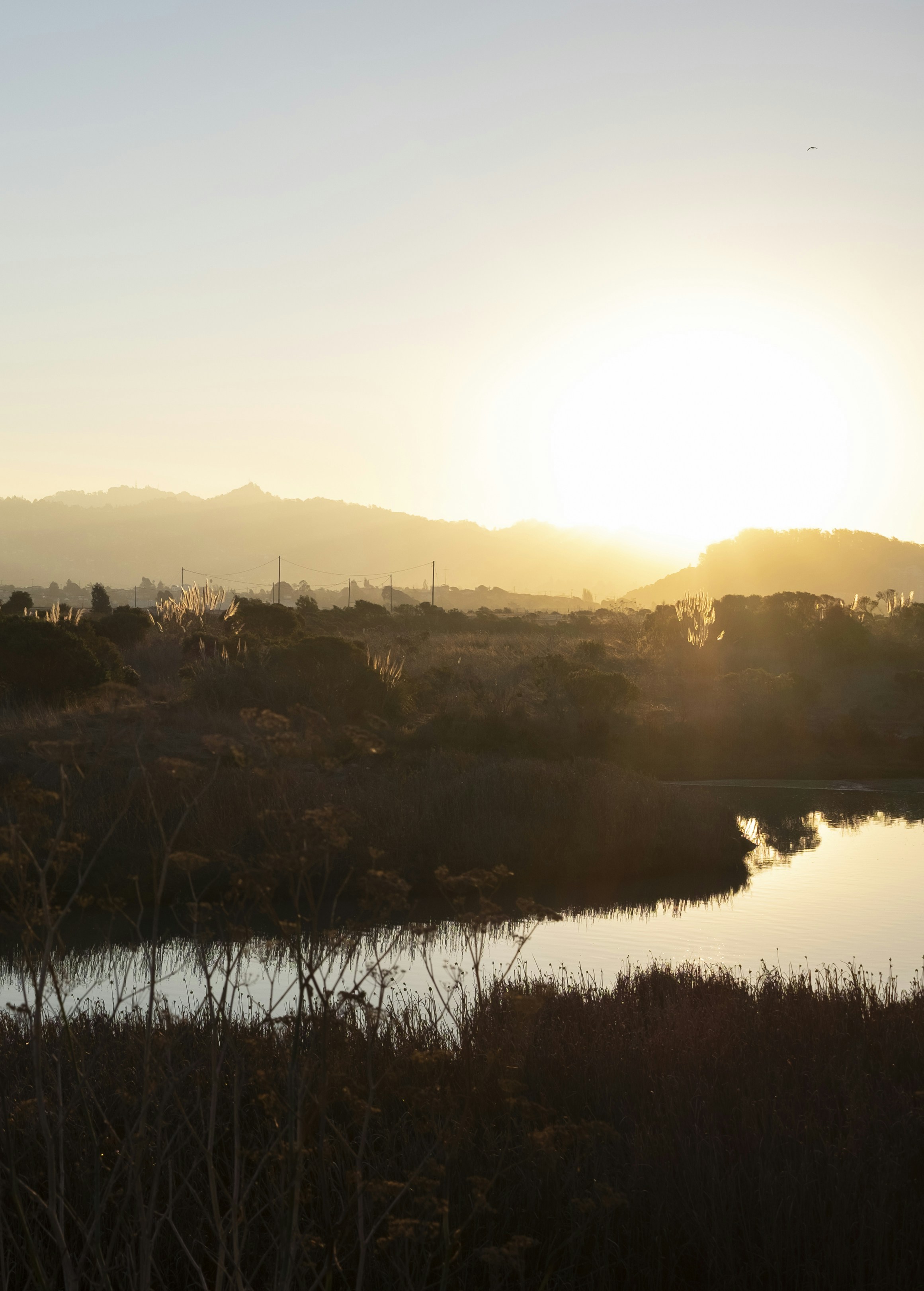 Dawn on the Quiet Bend: Golden Light Tracing the Marsh