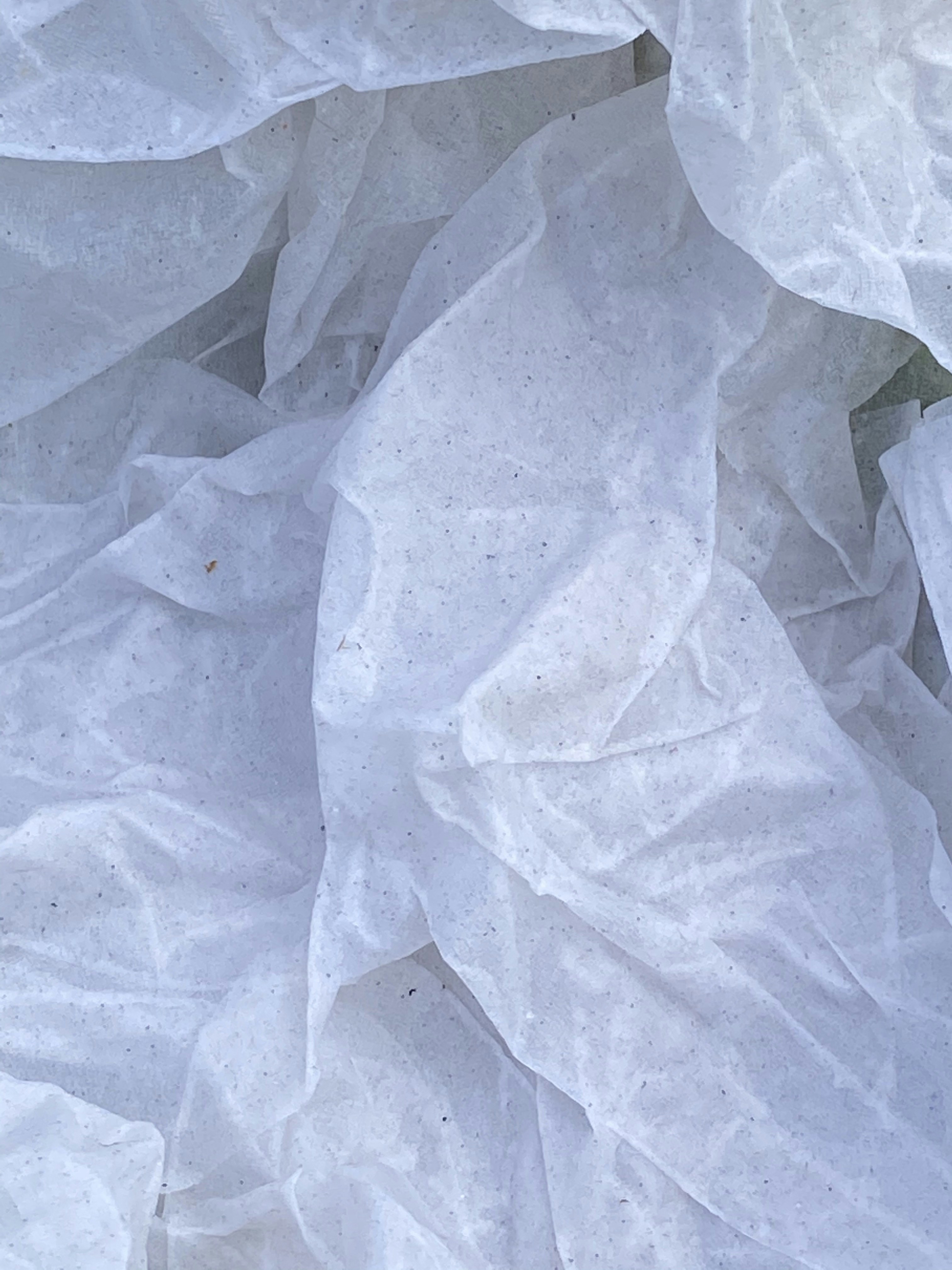 Tissue Paper Pictures | Download Free Images on Unsplash