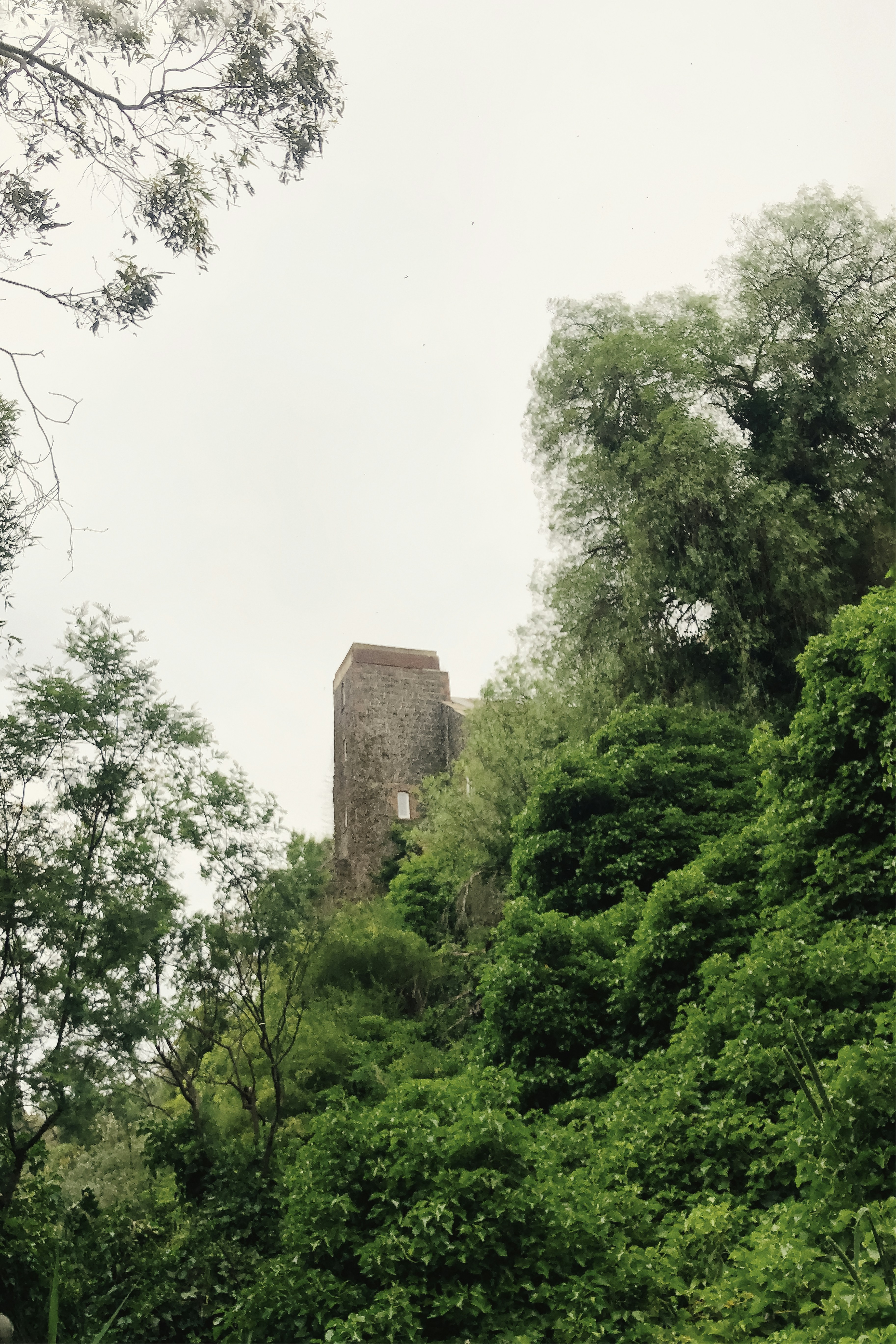 Ancient stone structure partially obscured by dense foliage, set against a cloudy sky.