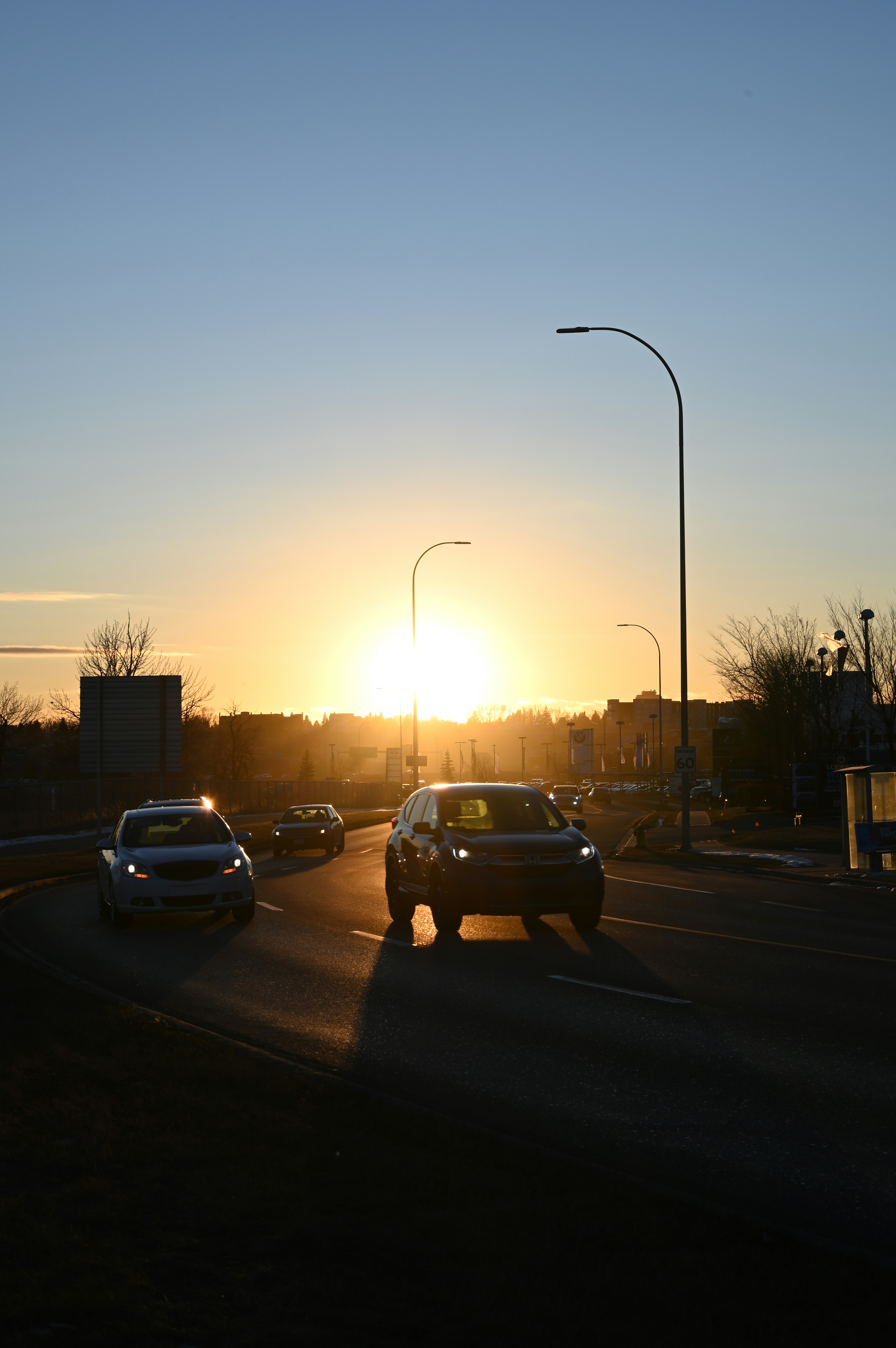 Sample photo from Nikon Z6 II