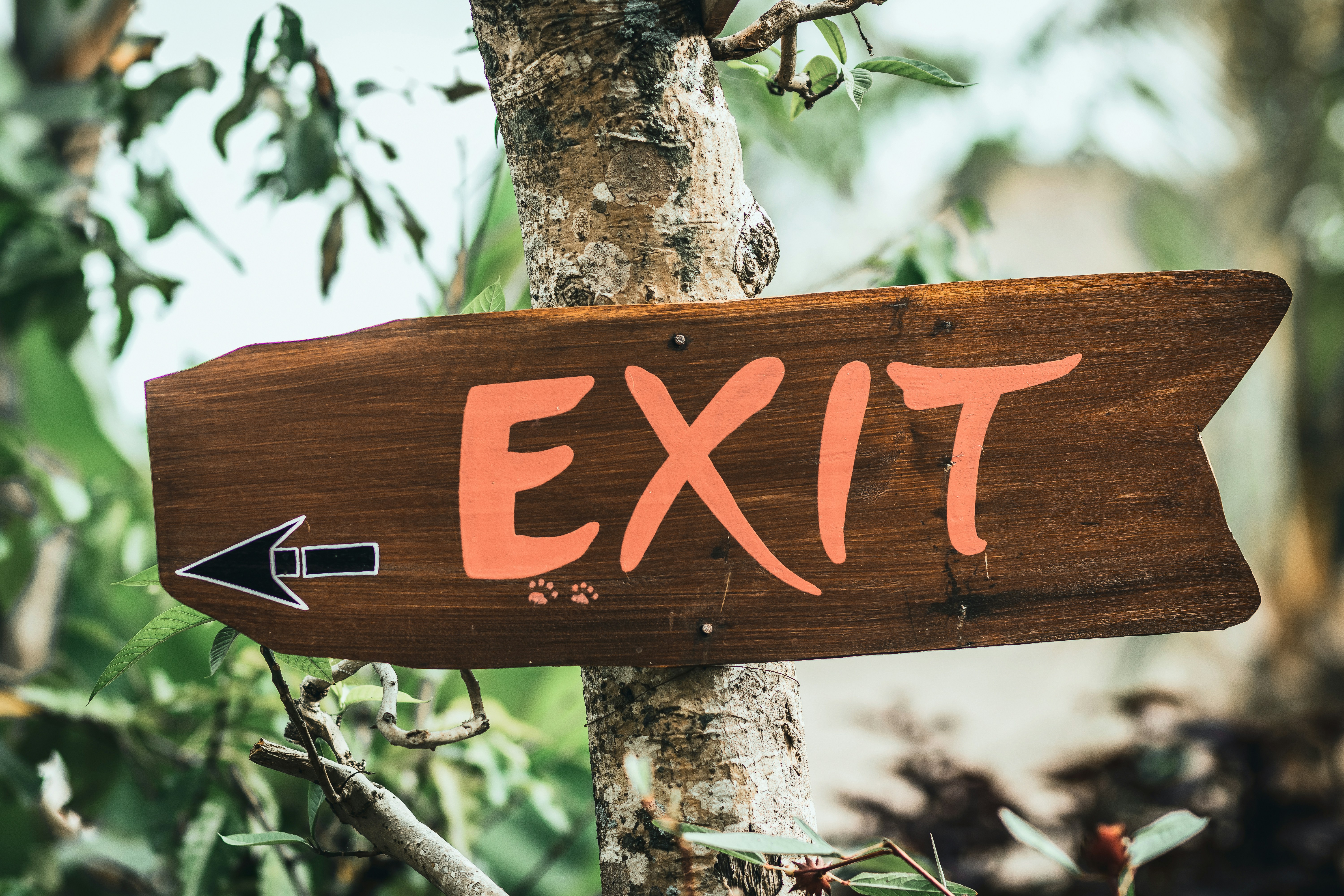 Brown wooden signage on tree photo – Free Бали Image on Unsplash