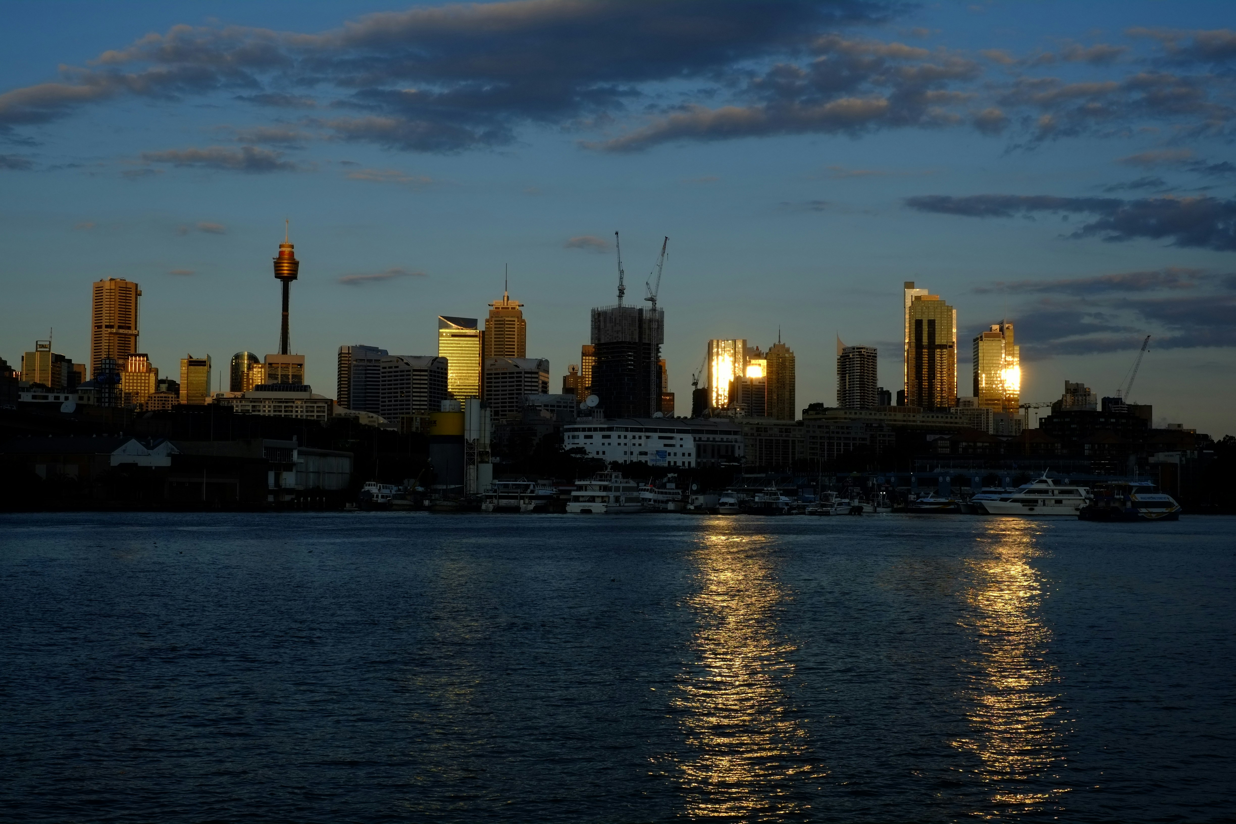 Gold-Glinted Skyline Across a Quiet Harbor at Blue Hour