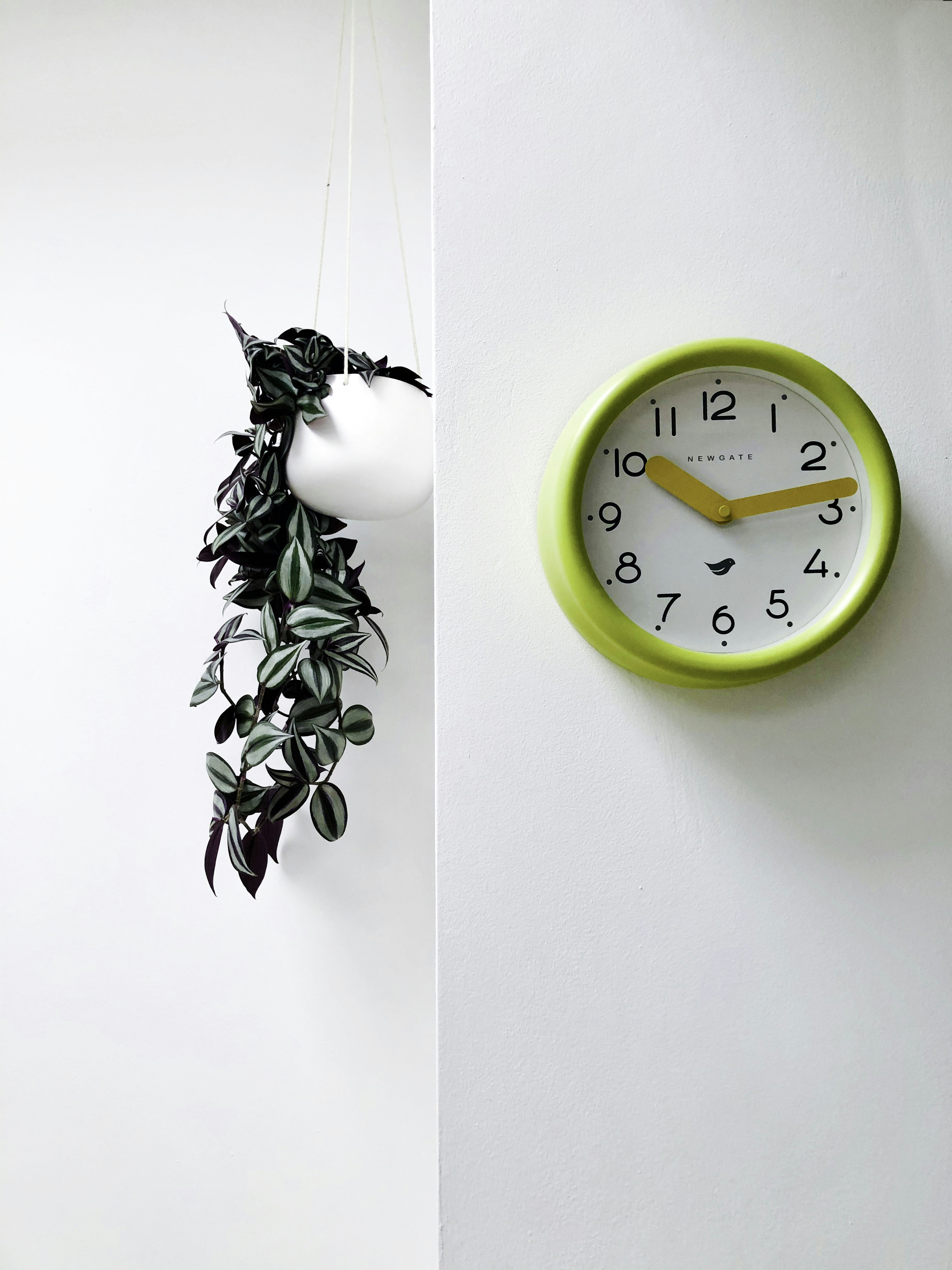 Yellow round analog wall clock at 10 00 photo – Free Clock Image on ...