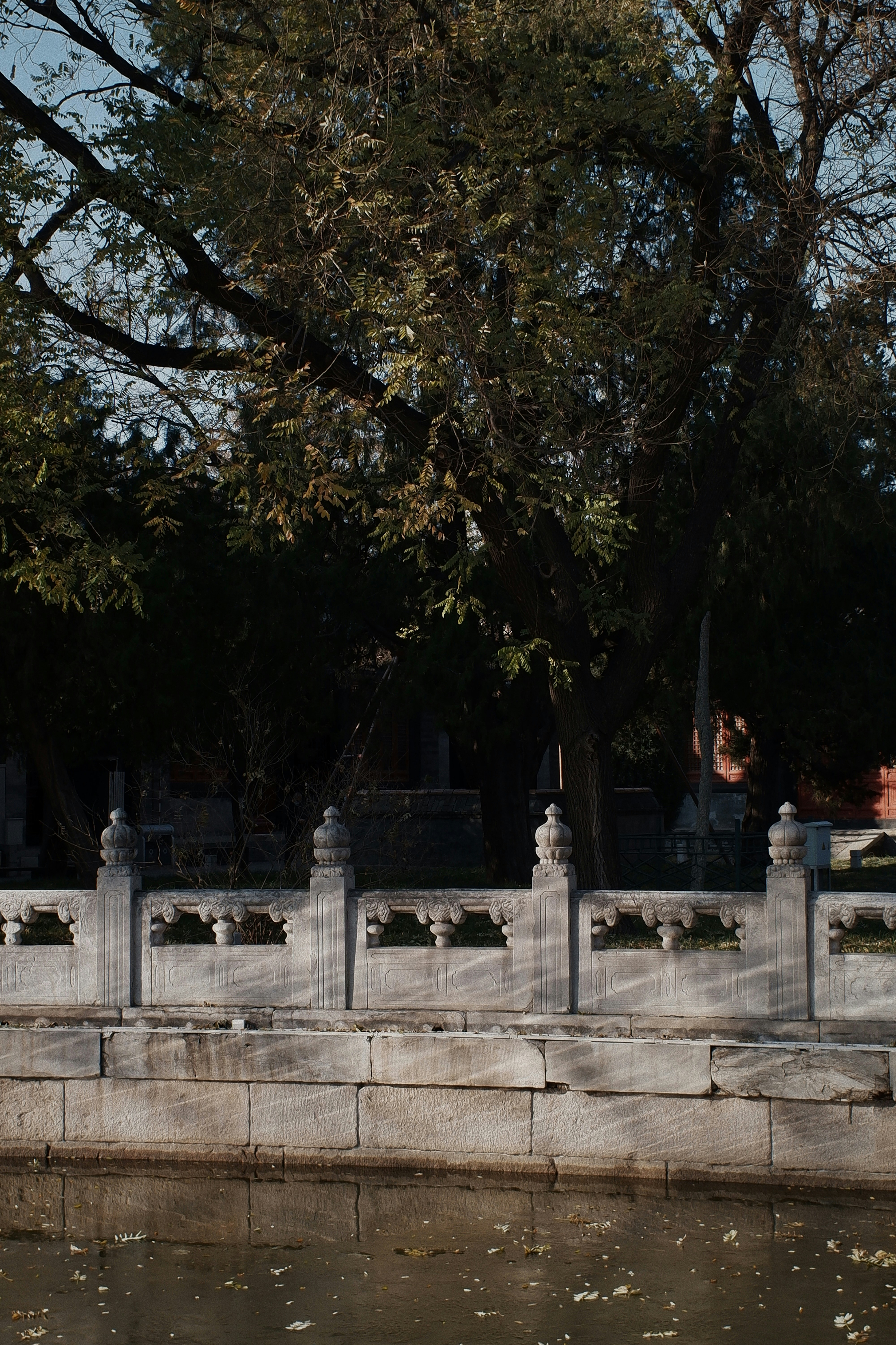 Stone Crescent: A Quiet Riverside Terrace Framed by Autumn Dusk