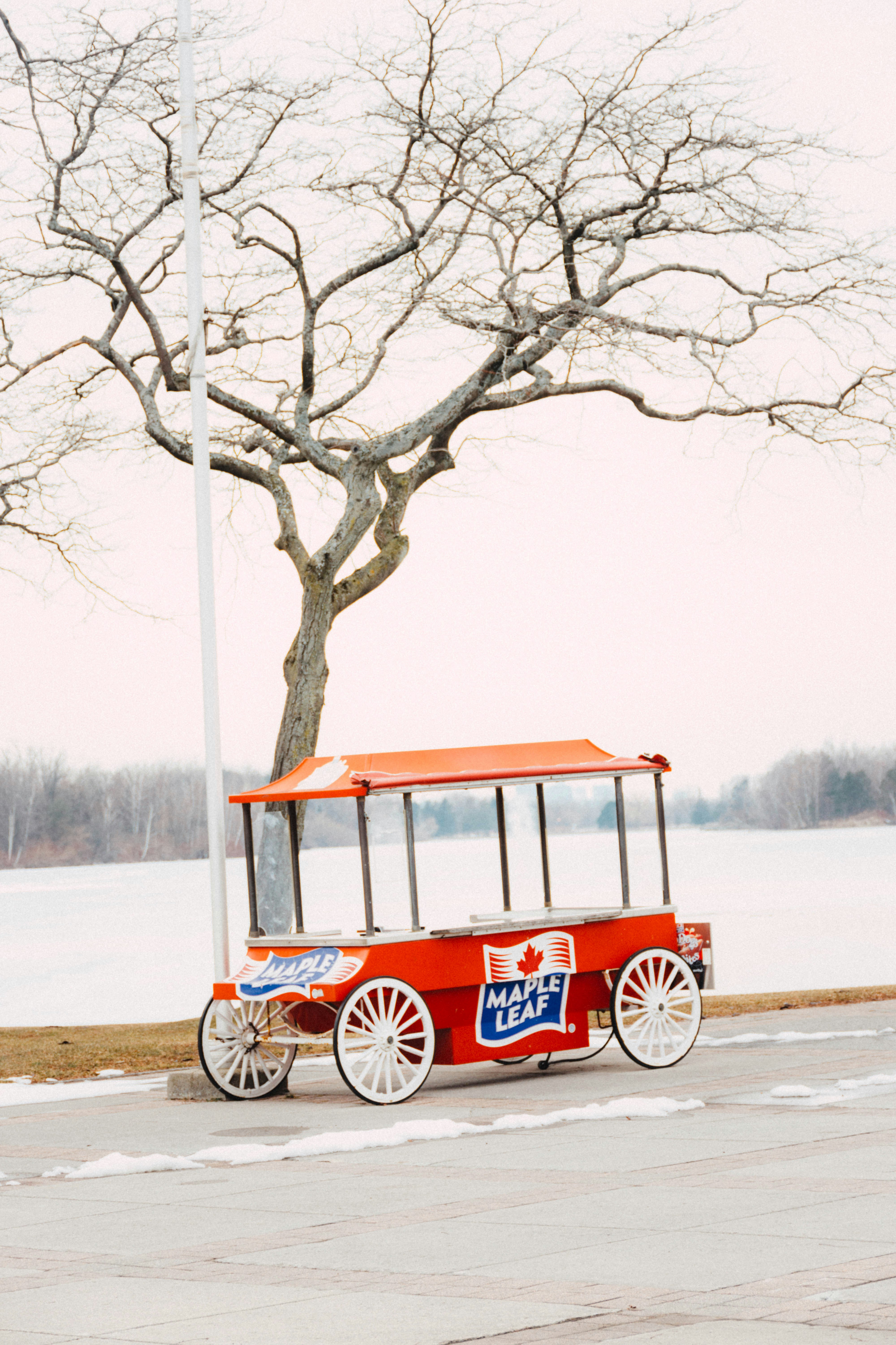 blue and red auto rickshaw on snow covered ground during daytime