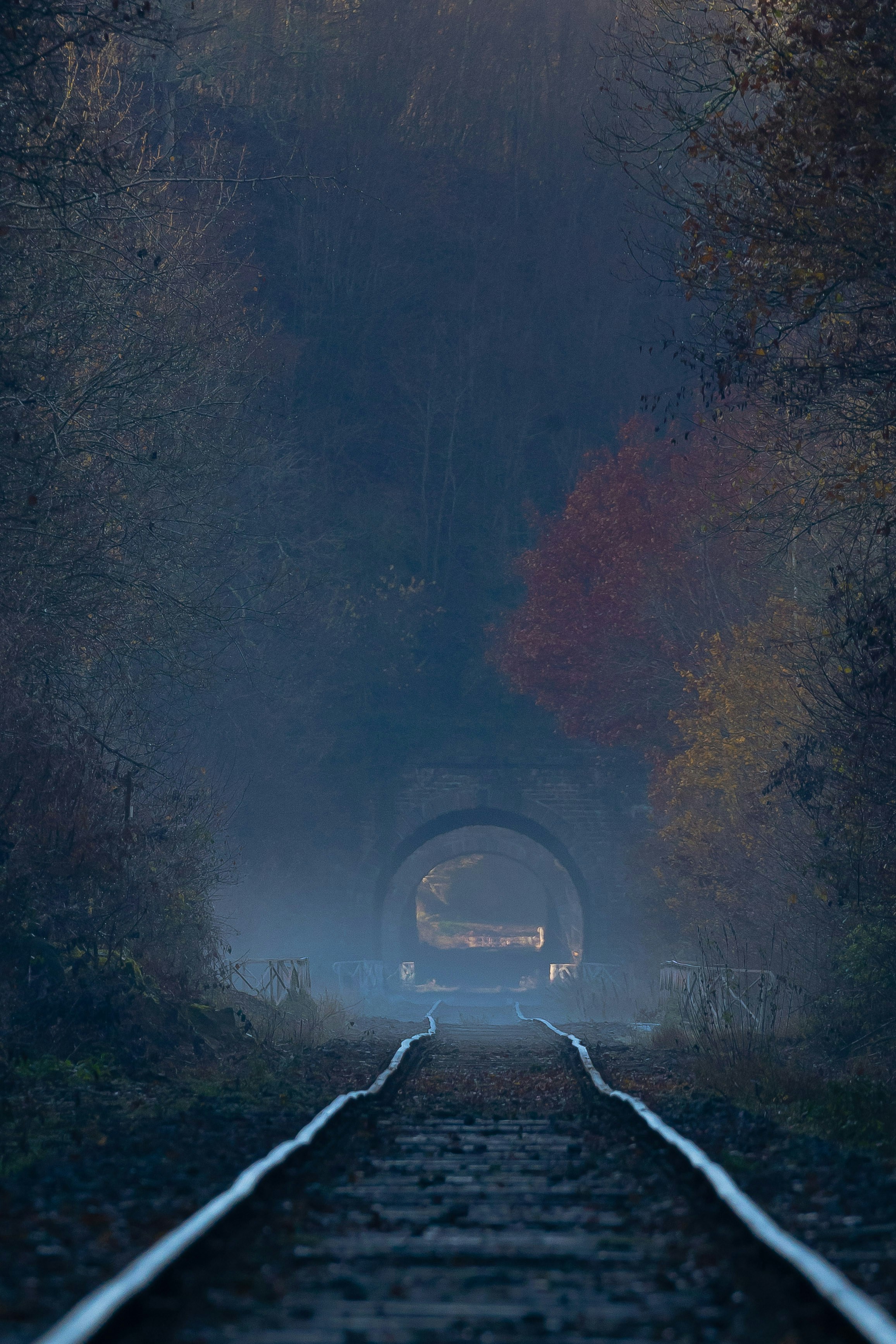 Fog-Threaded Rails toward the Round Portal