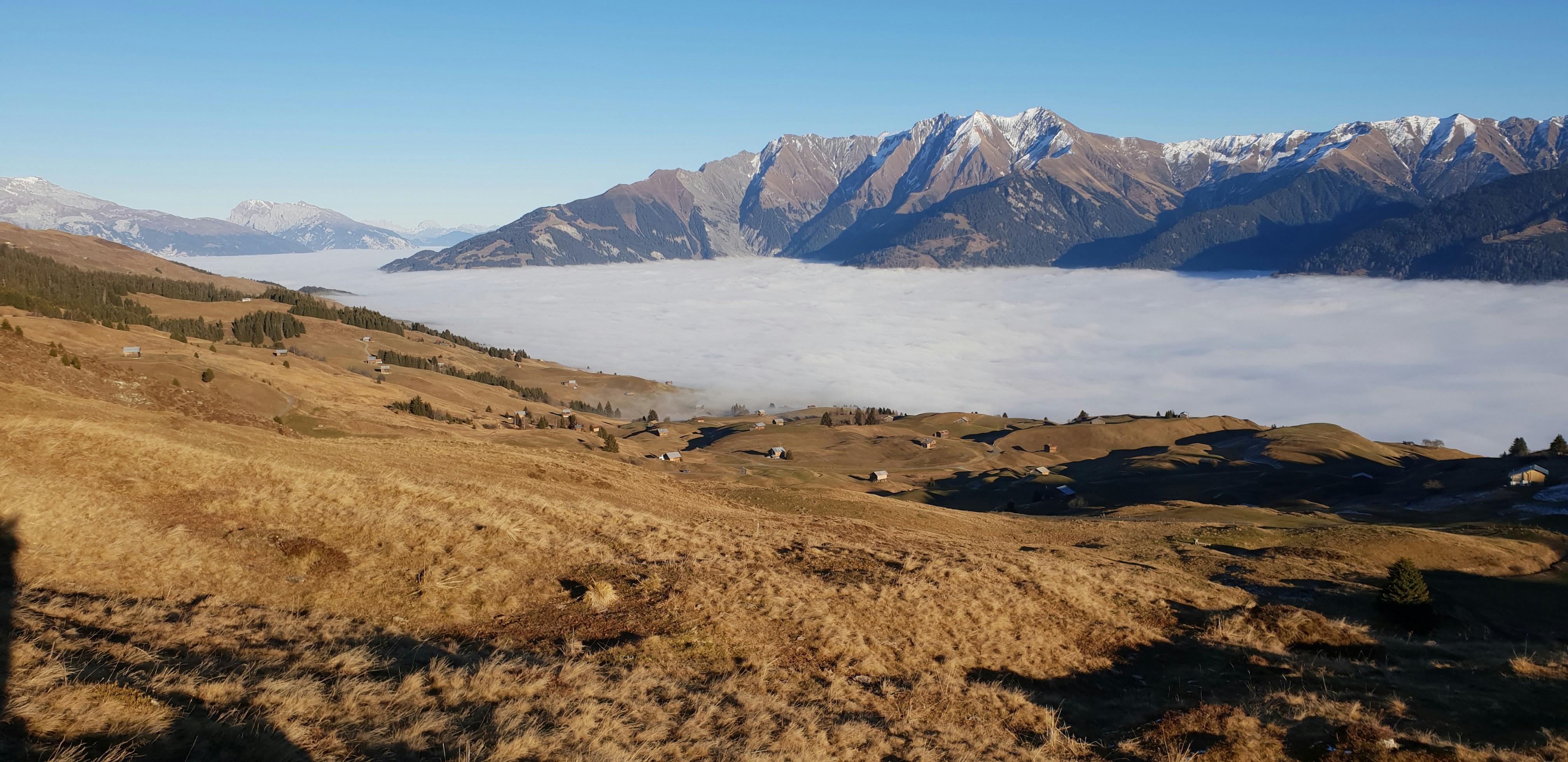 brown field near snow covered mountain during daytime
