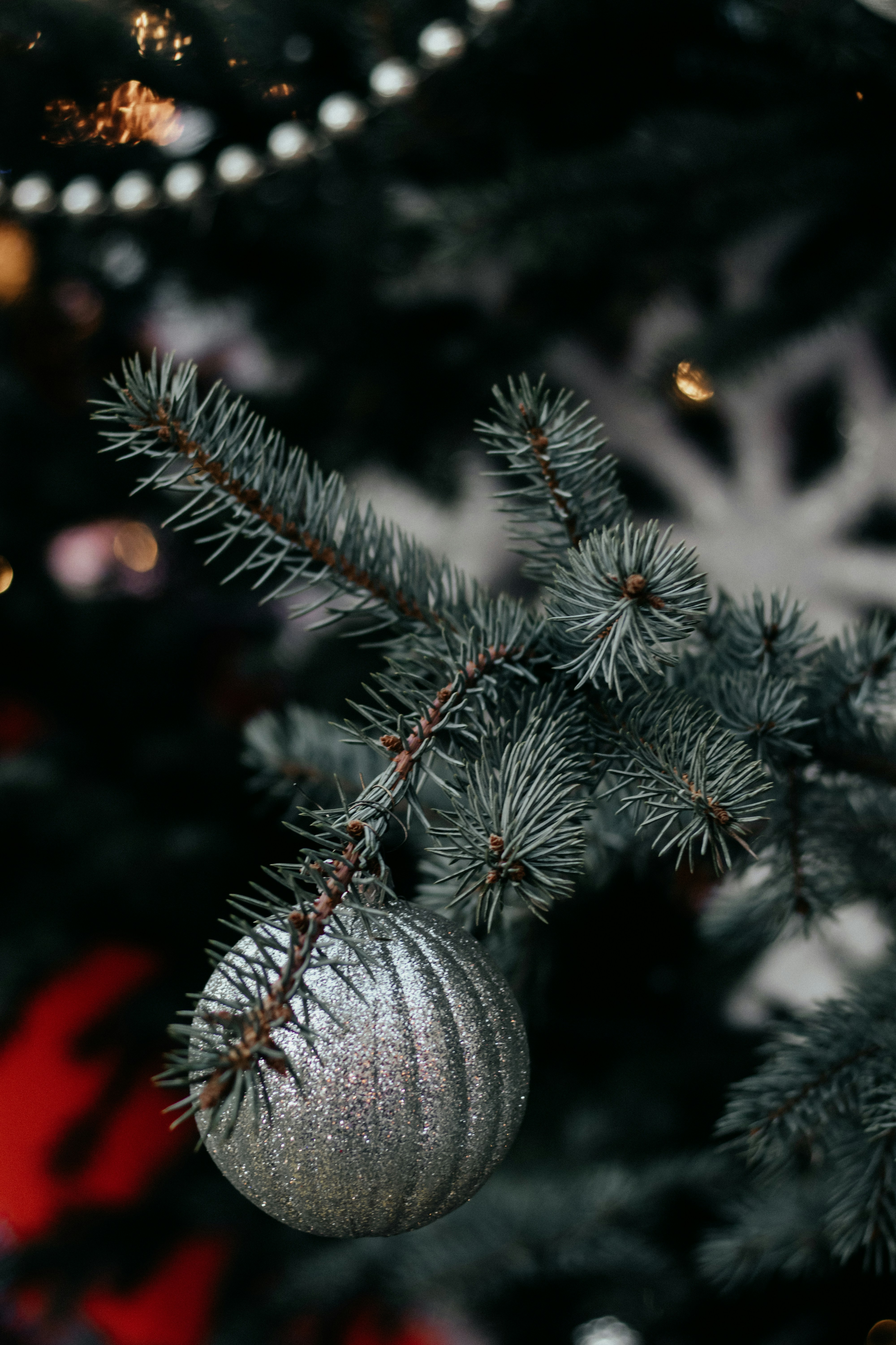 Silver Ornament on Snow-Dusted Fir Branch