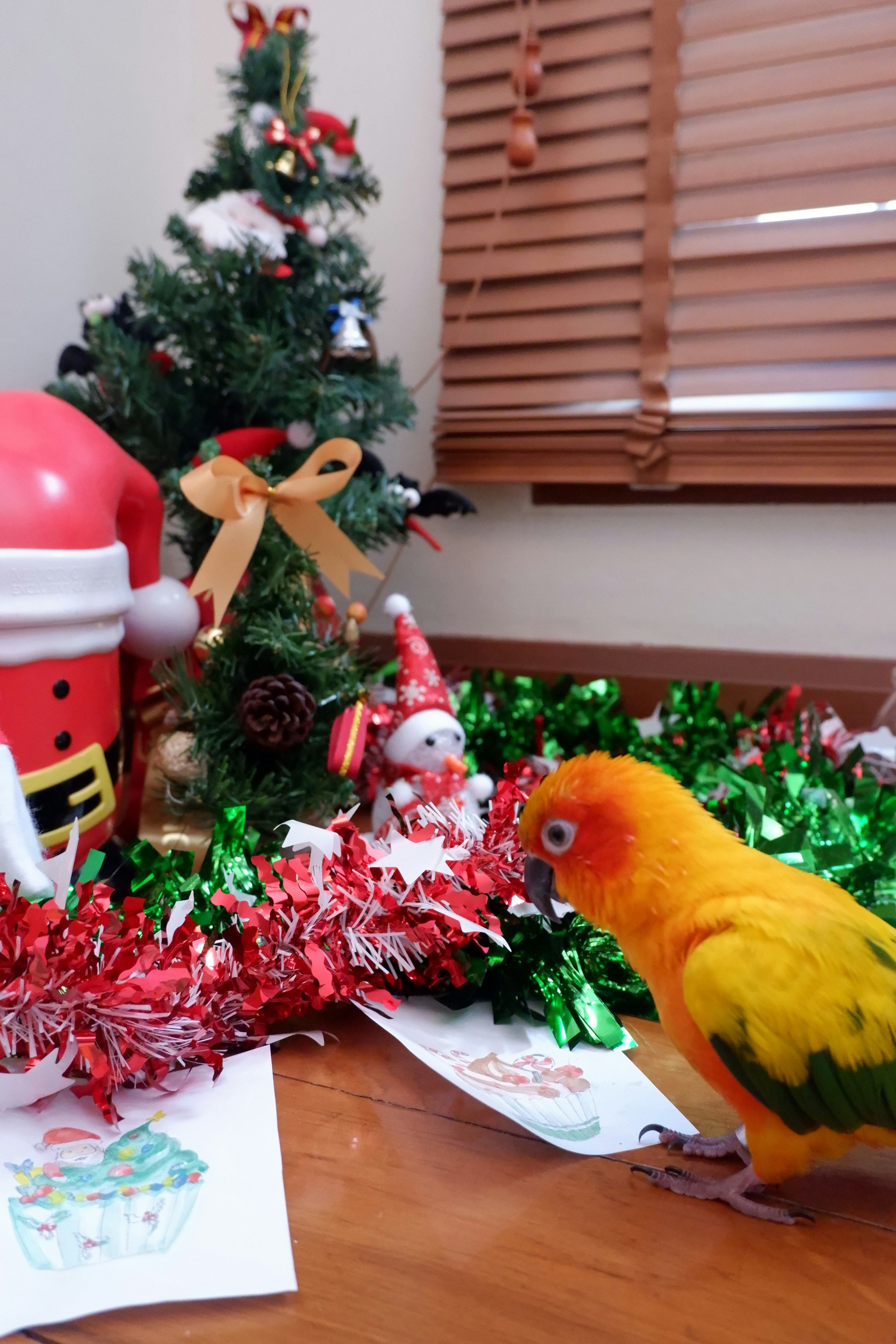 Parrot in Golden Light Amid Christmas Tinsel