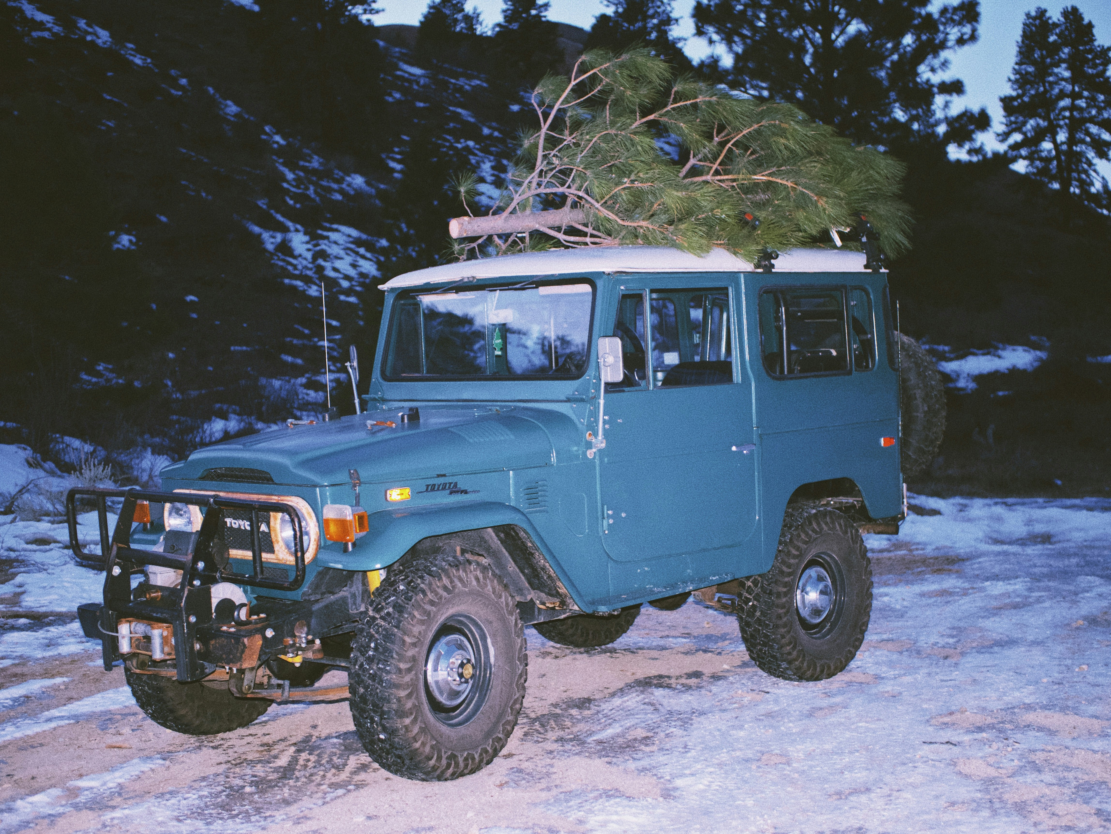 Blue Land Cruiser Beneath Snowy Pines, Hauling Firewood