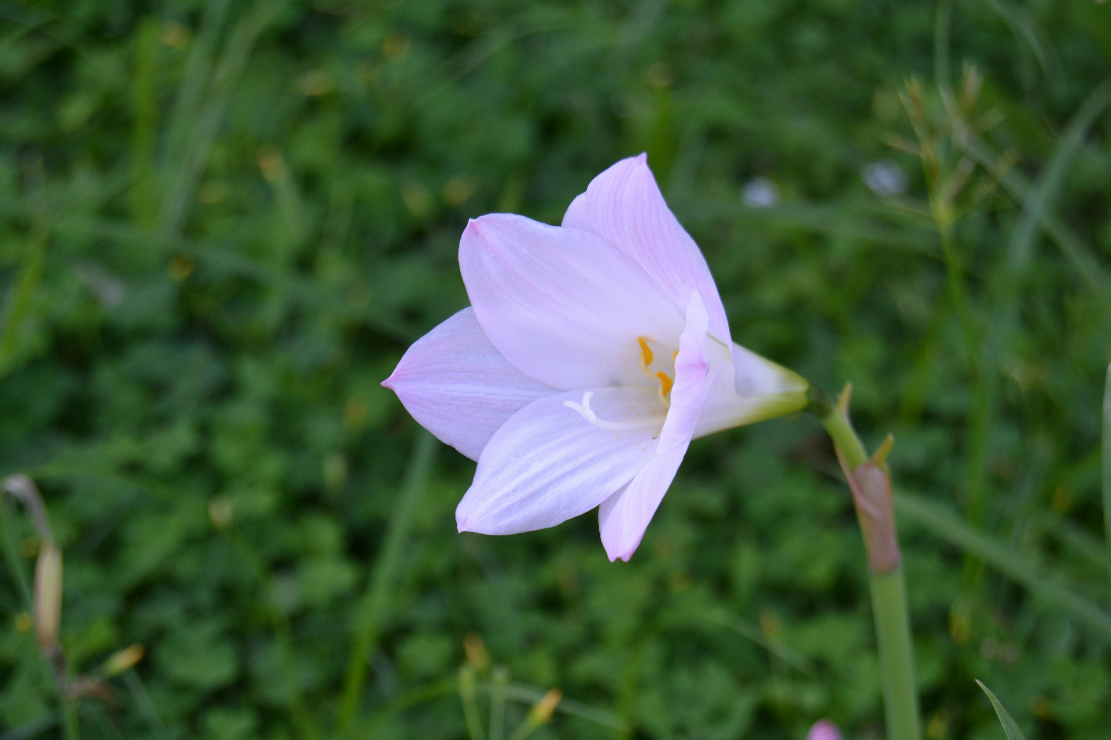 Sniper Photography (@sniperphotography) | Unsplash Photo Community