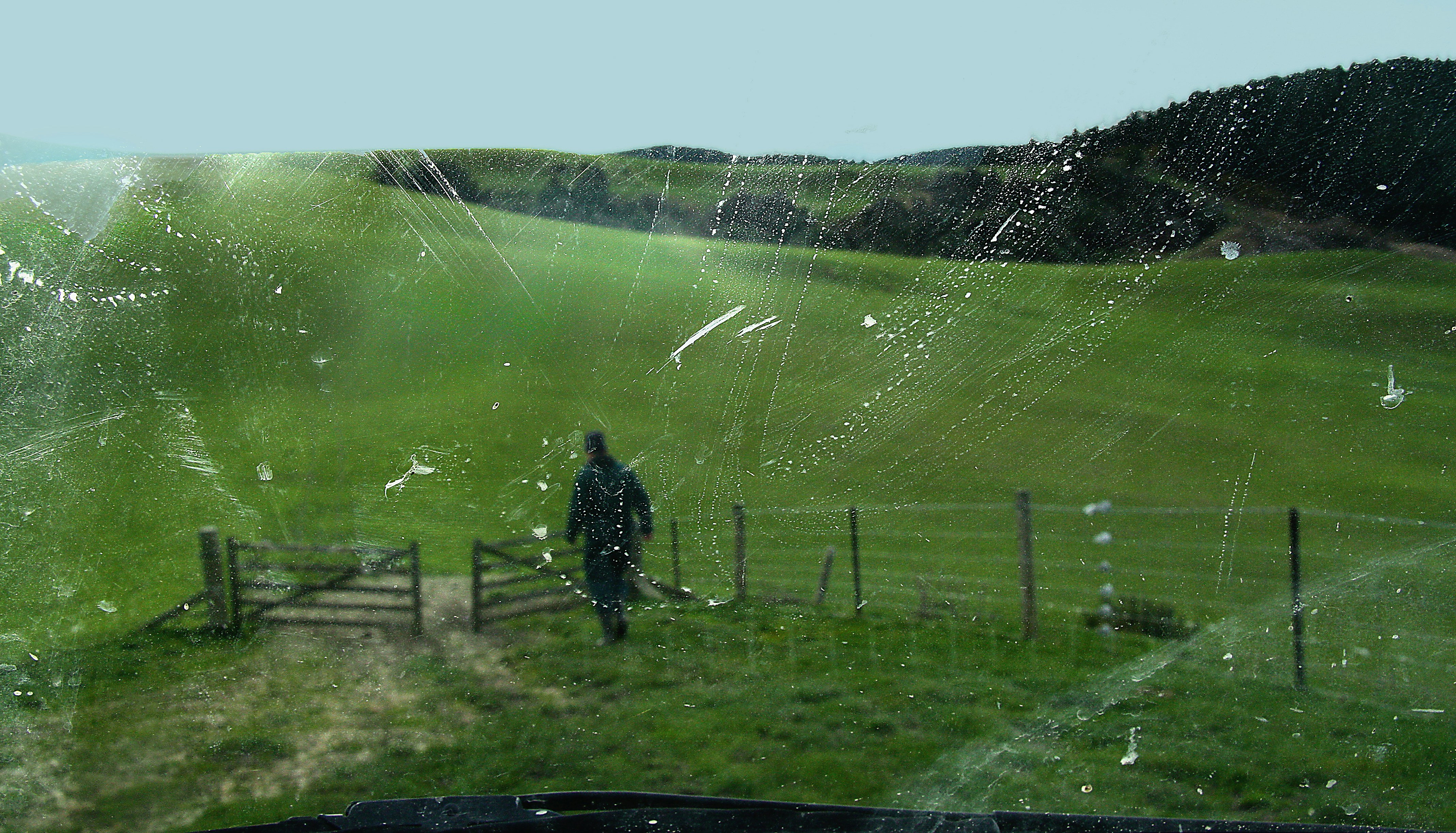 Fence-Line Sentinel: A Figure in a Green Field Through a Cracked Windshield