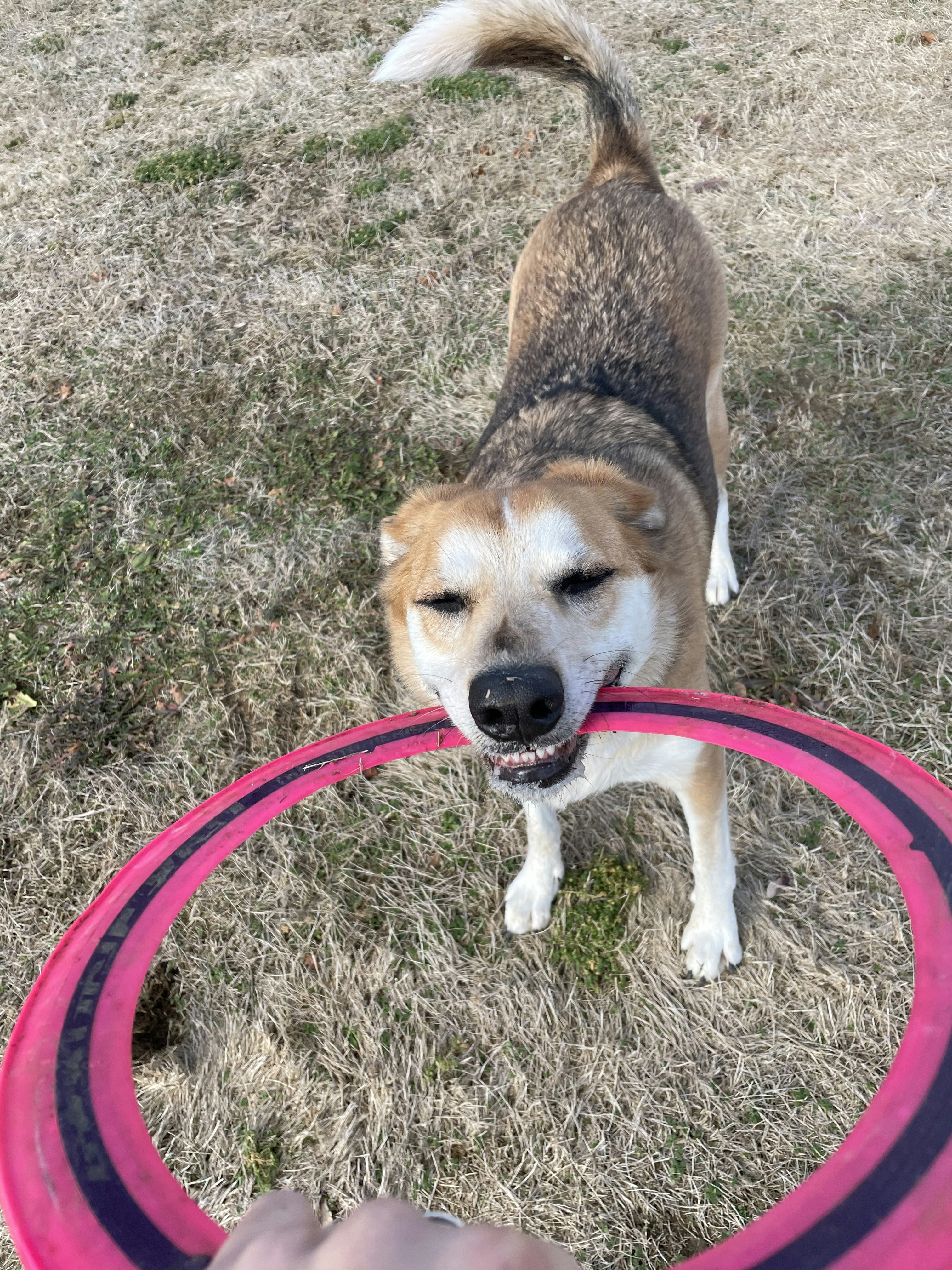 jax fede (@fedej44) | Komunitas Foto Unsplash