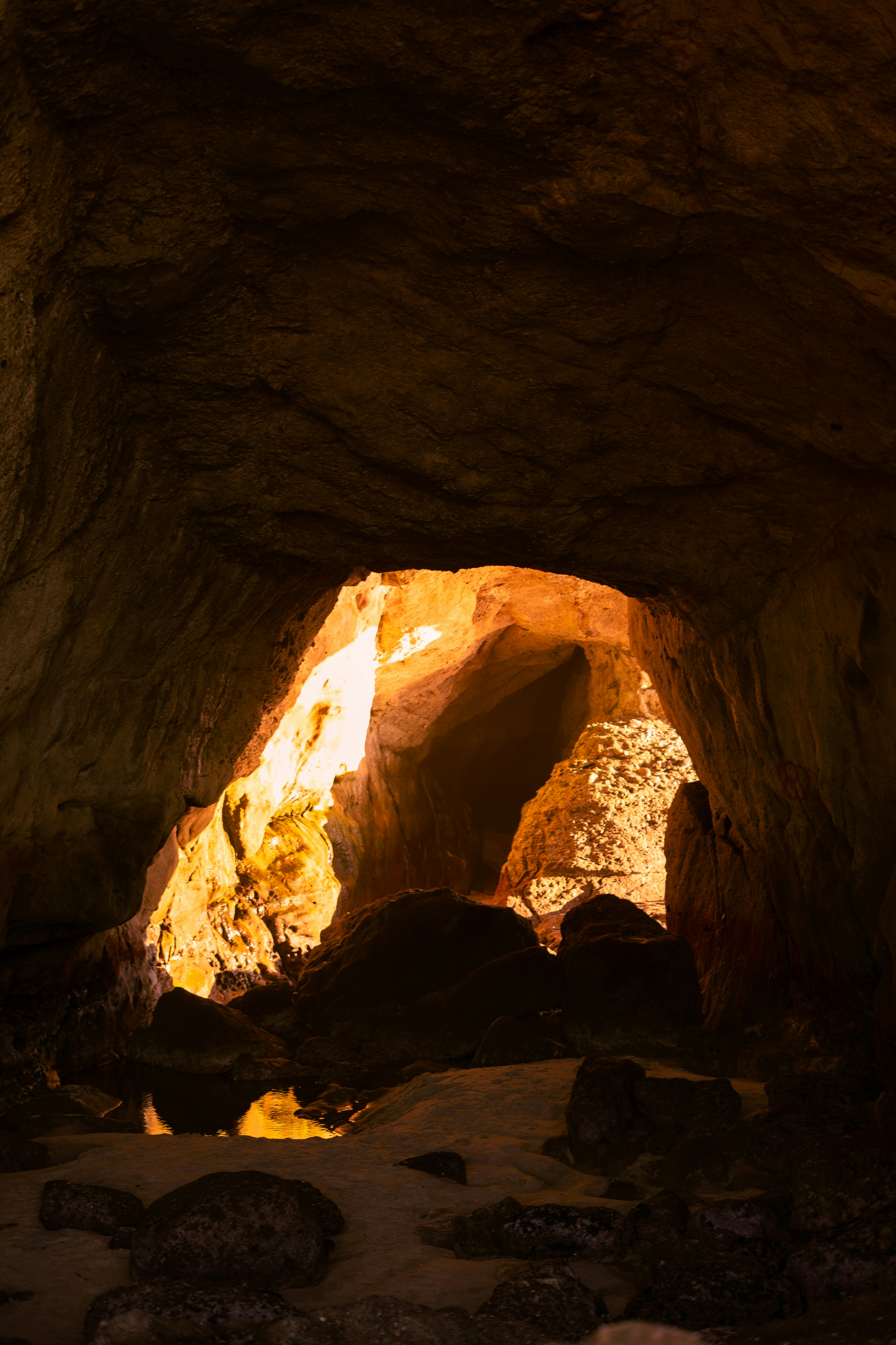 Amber Portal Through a Shadowed Sea Cave