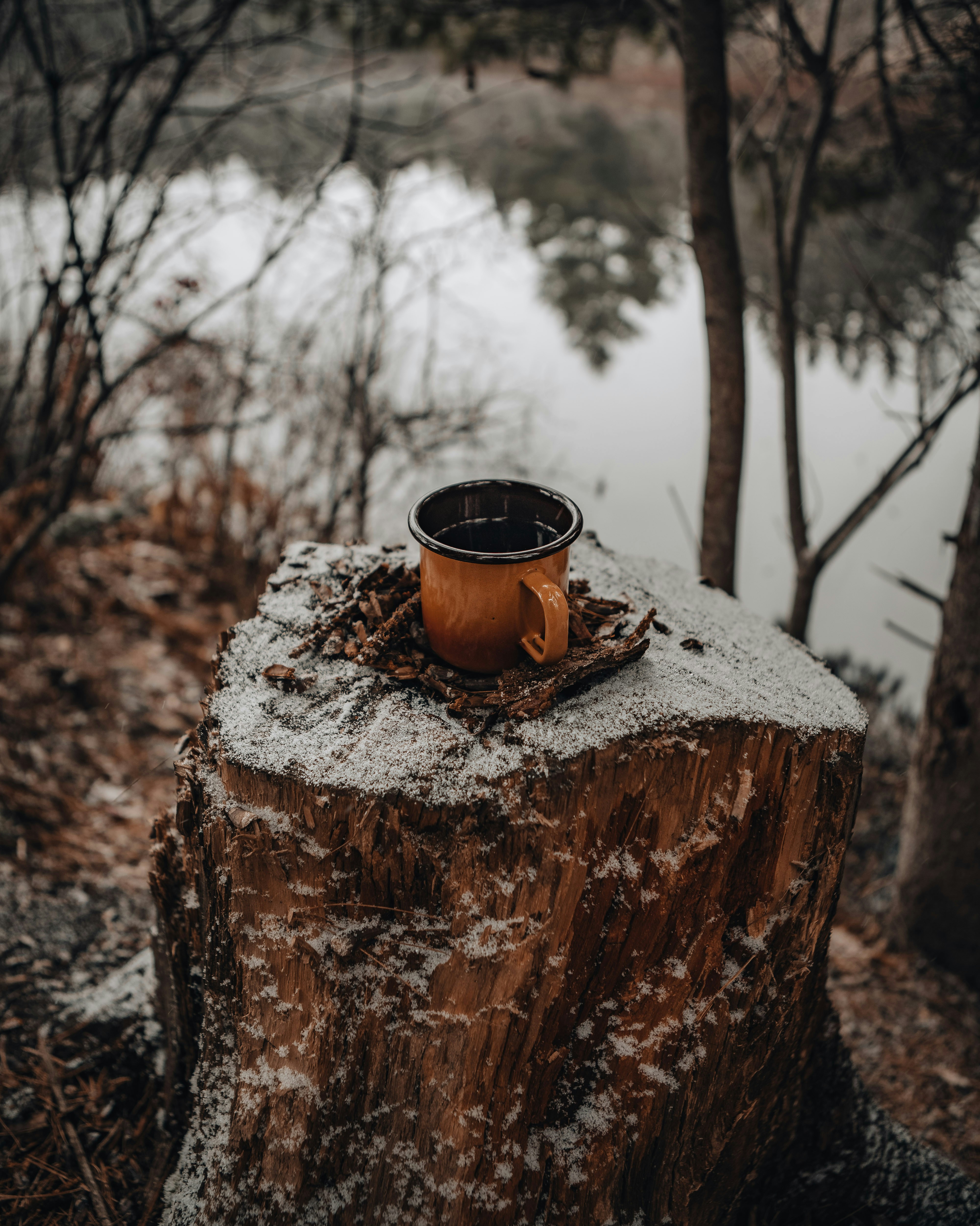 A rustic wooden stump topped with a snow-dusted mug, surrounded by bare trees and a reflective body of water in the background.