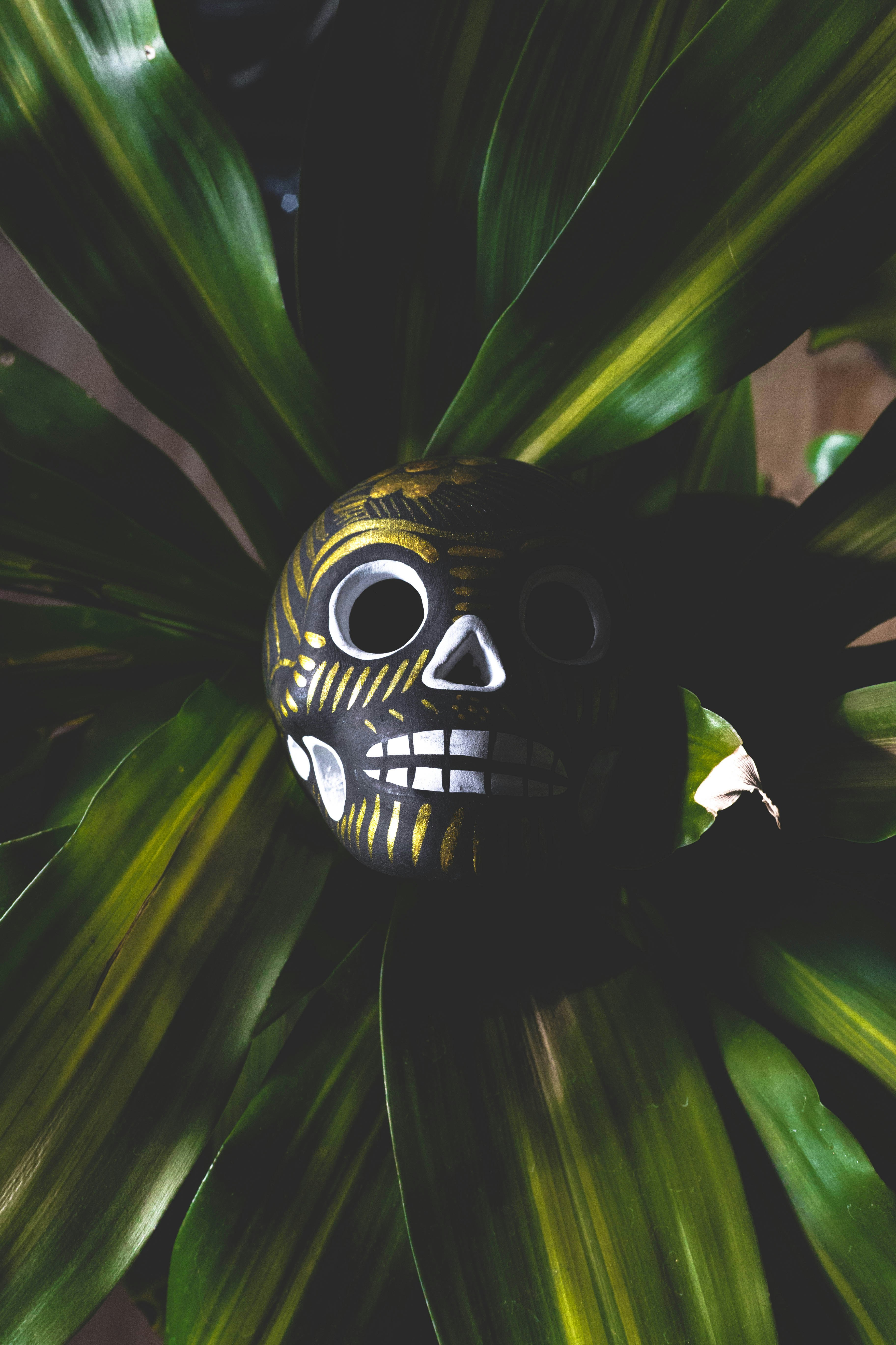 Masked Gaze in the Green Silence