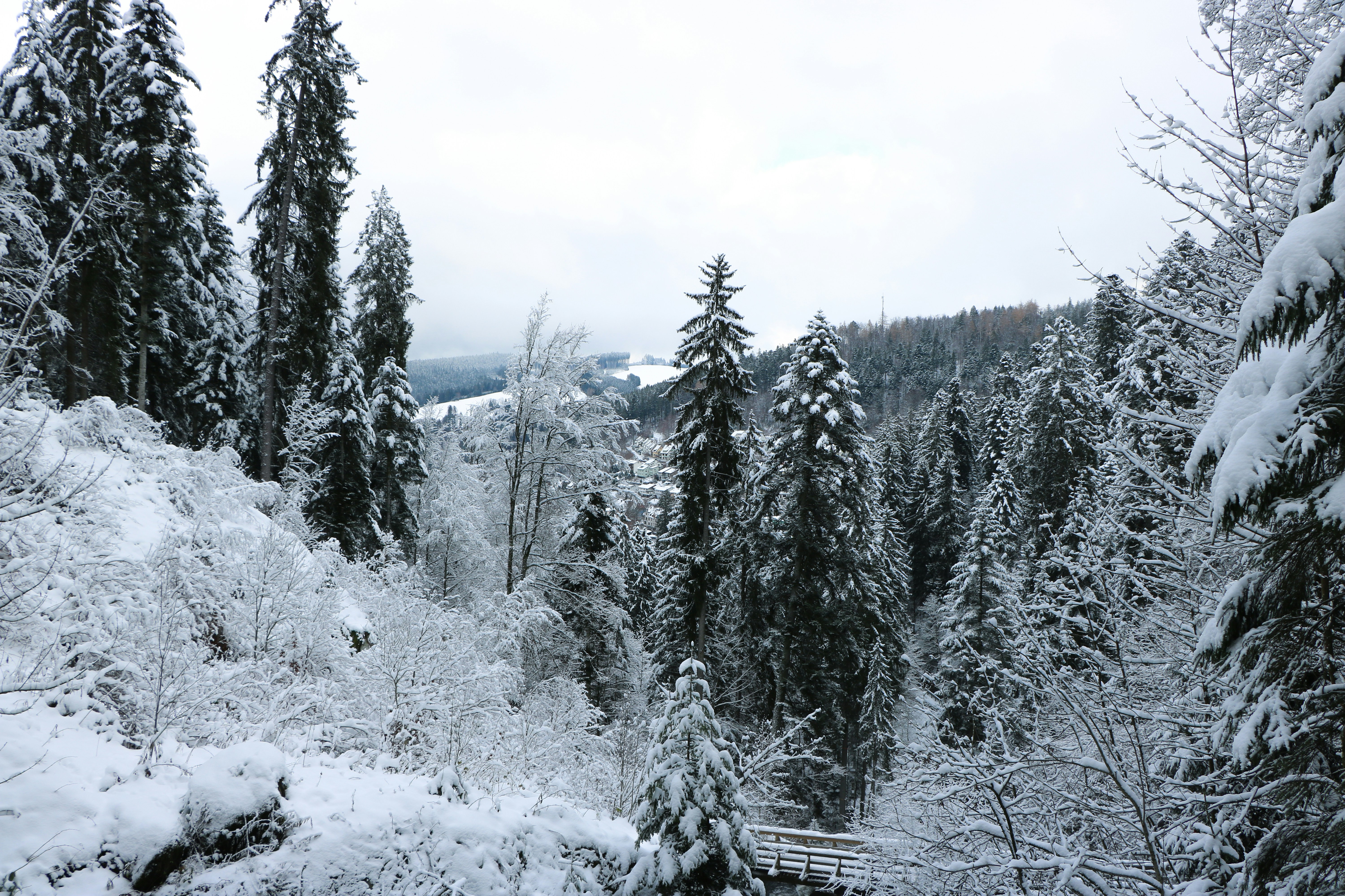 Laura Lauch (@lauchmaedchen) | Unsplash Photo Community