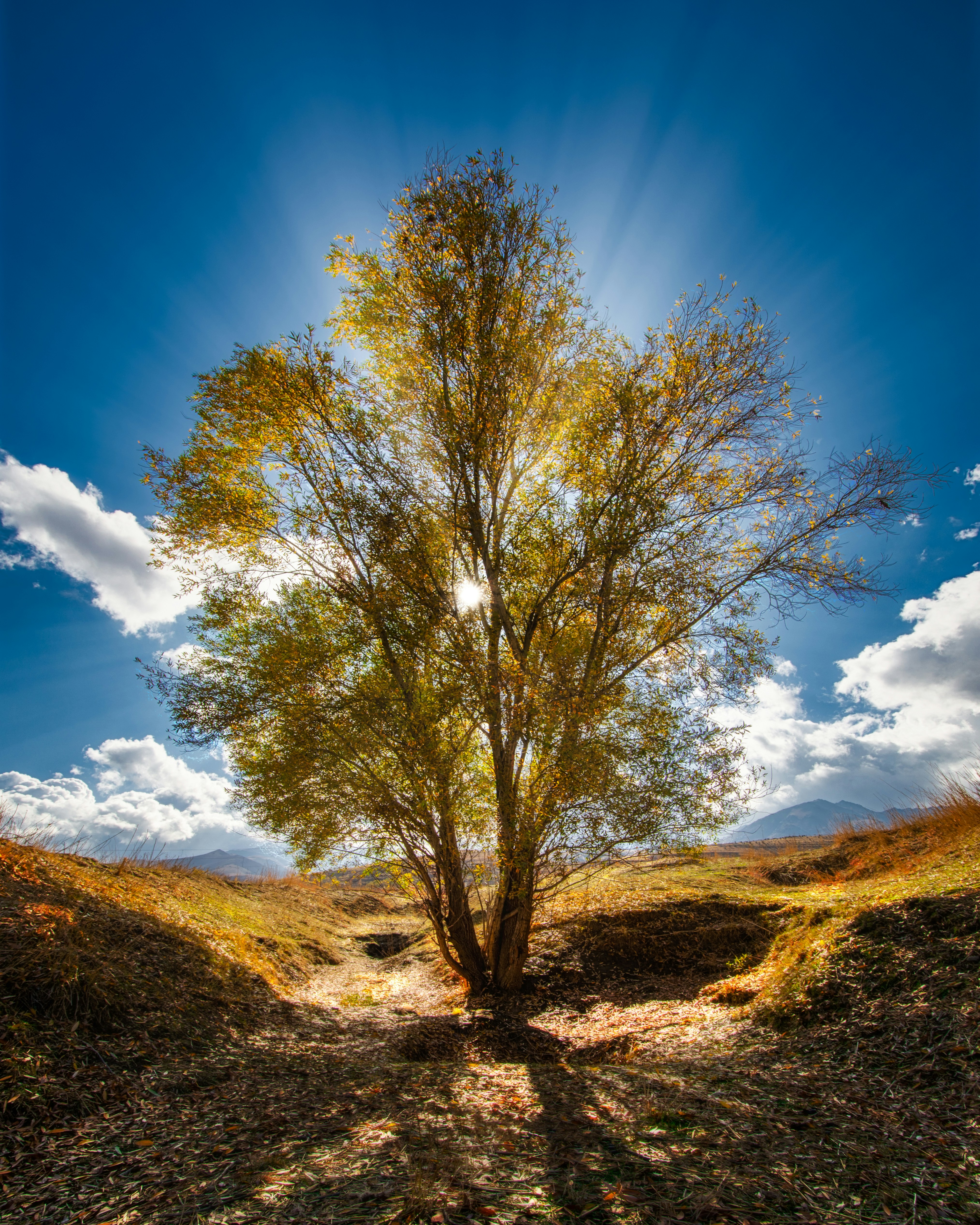 350+ Amazing Pictures [HQ] | Download Free Images on Unsplash