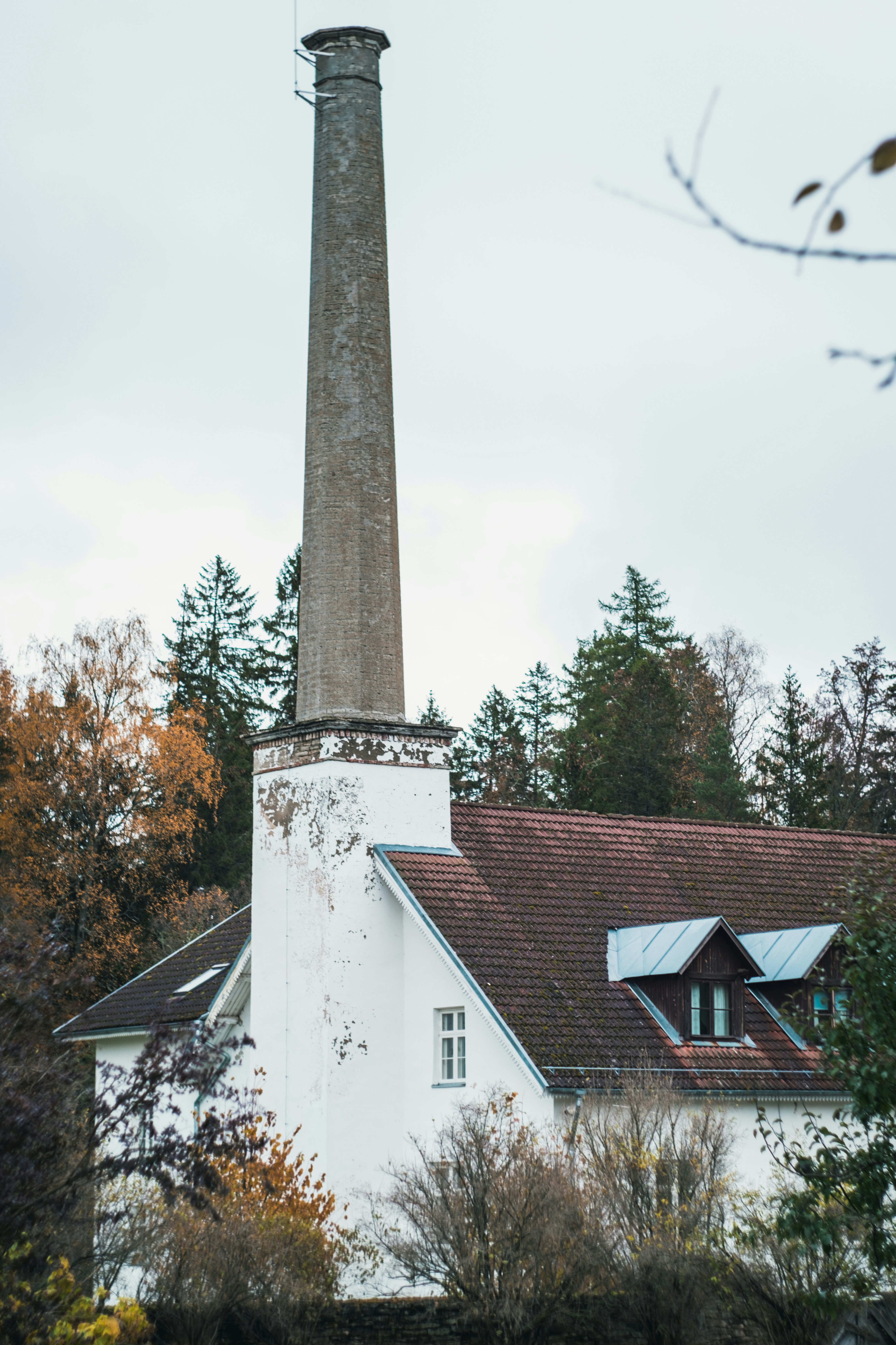 Chimney Rising Over a White House as Autumn Colors Enfold the Grounds