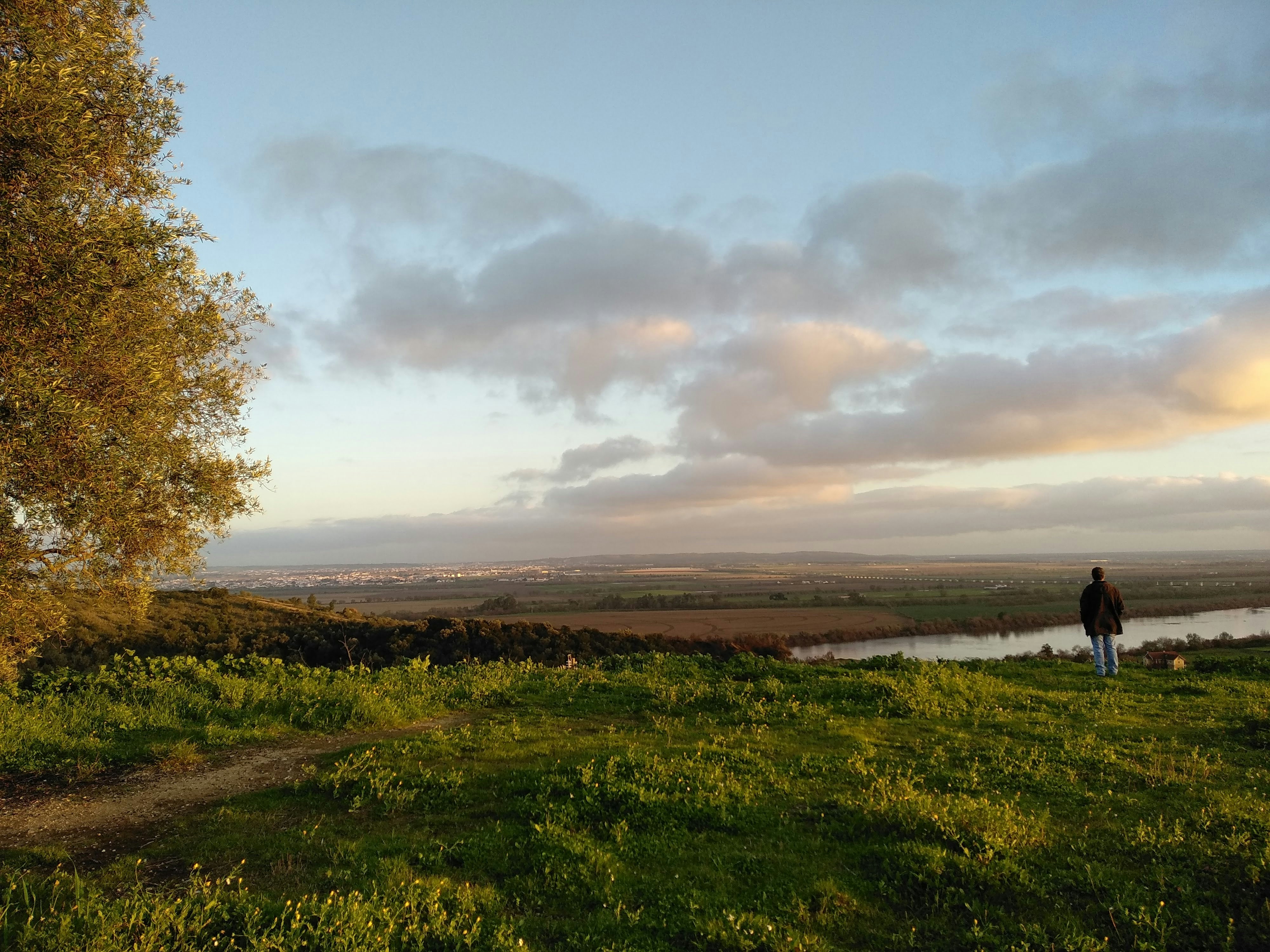 Person standing on a grassy hill at sunset, overlooking a vast landscape with scattered clouds.