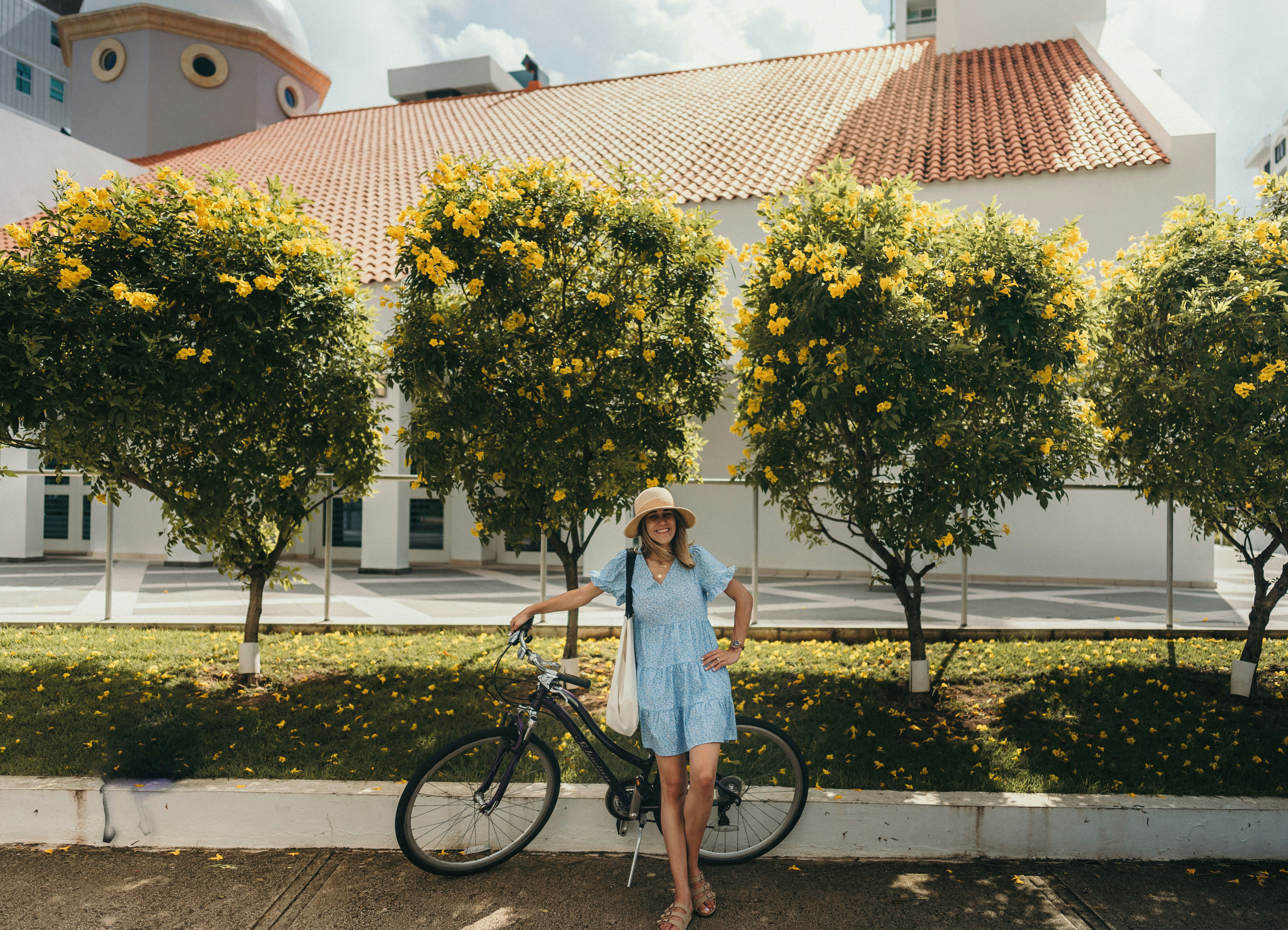 Cyclist's Pause Under Sunlit Blossoms