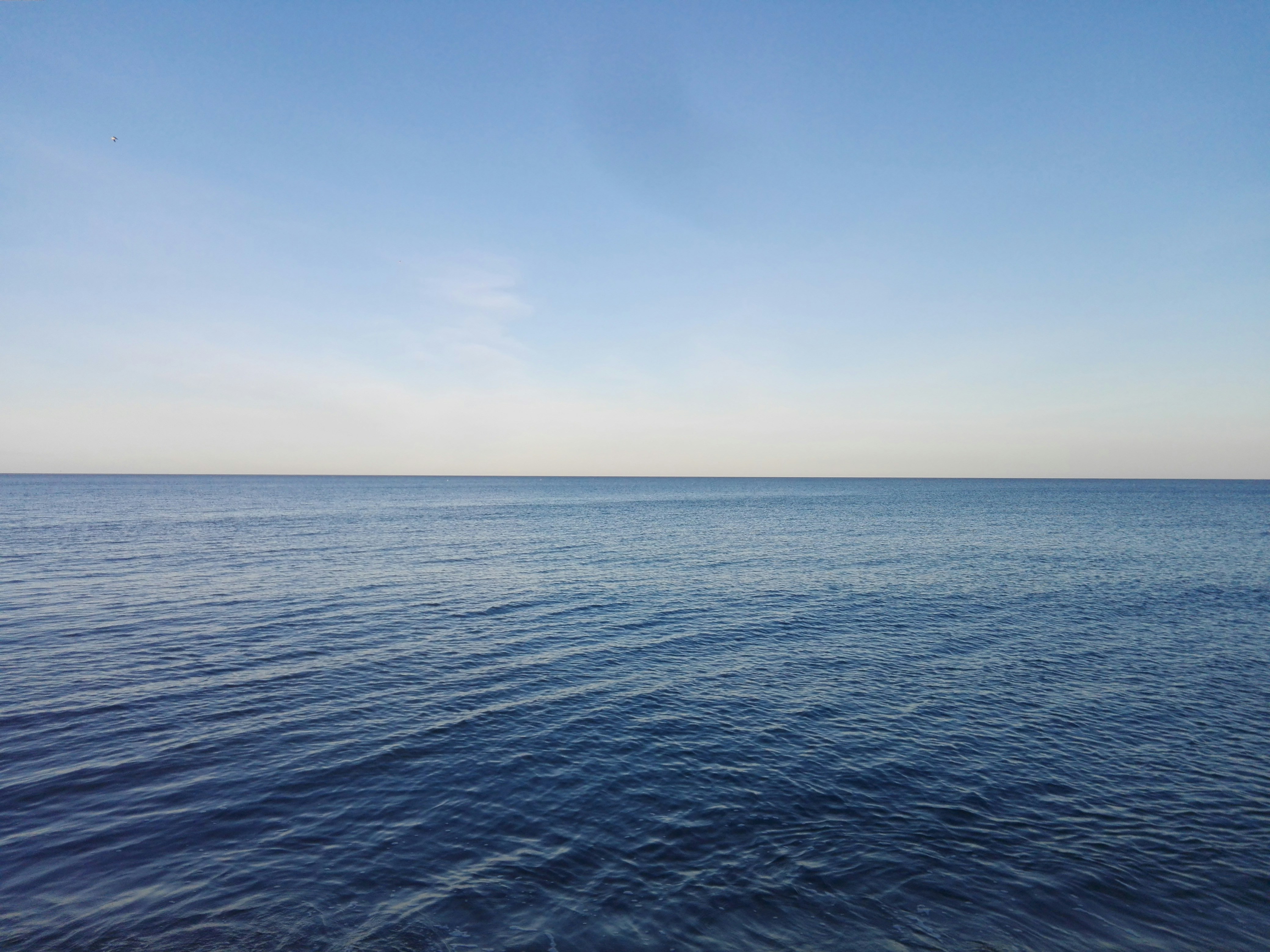 Vast expanse of calm ocean under a clear blue sky, showcasing the serene beauty of nature's horizon.